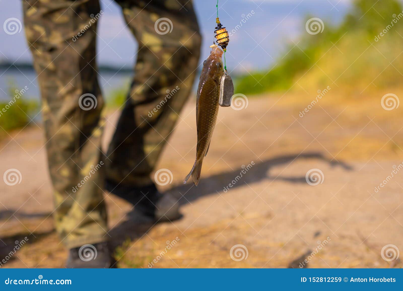 Little fish on a hook stock image. Image of camouflage - 152812259