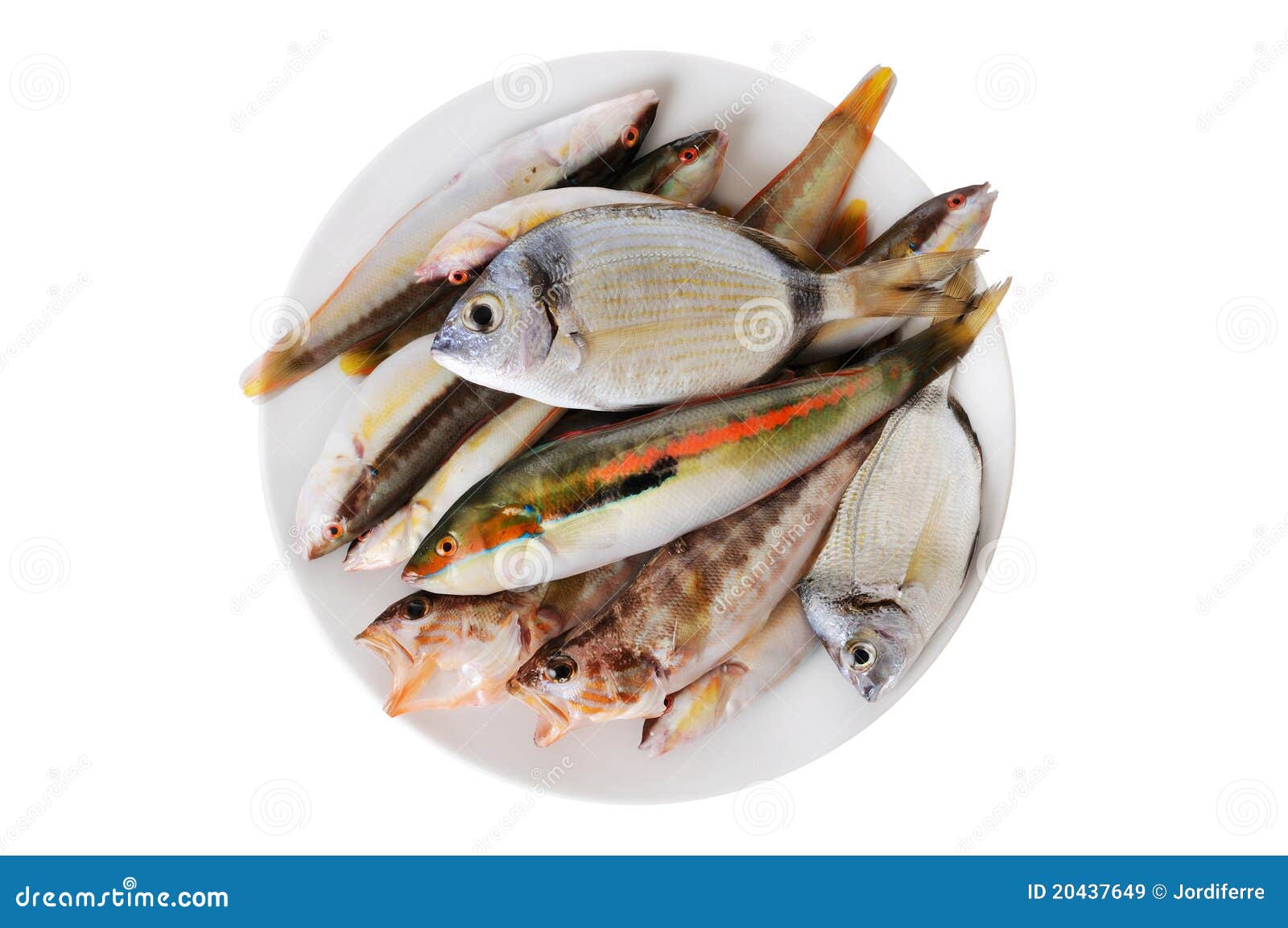 Little fishes on a dish stock image. Image of biodiversity - 20437649