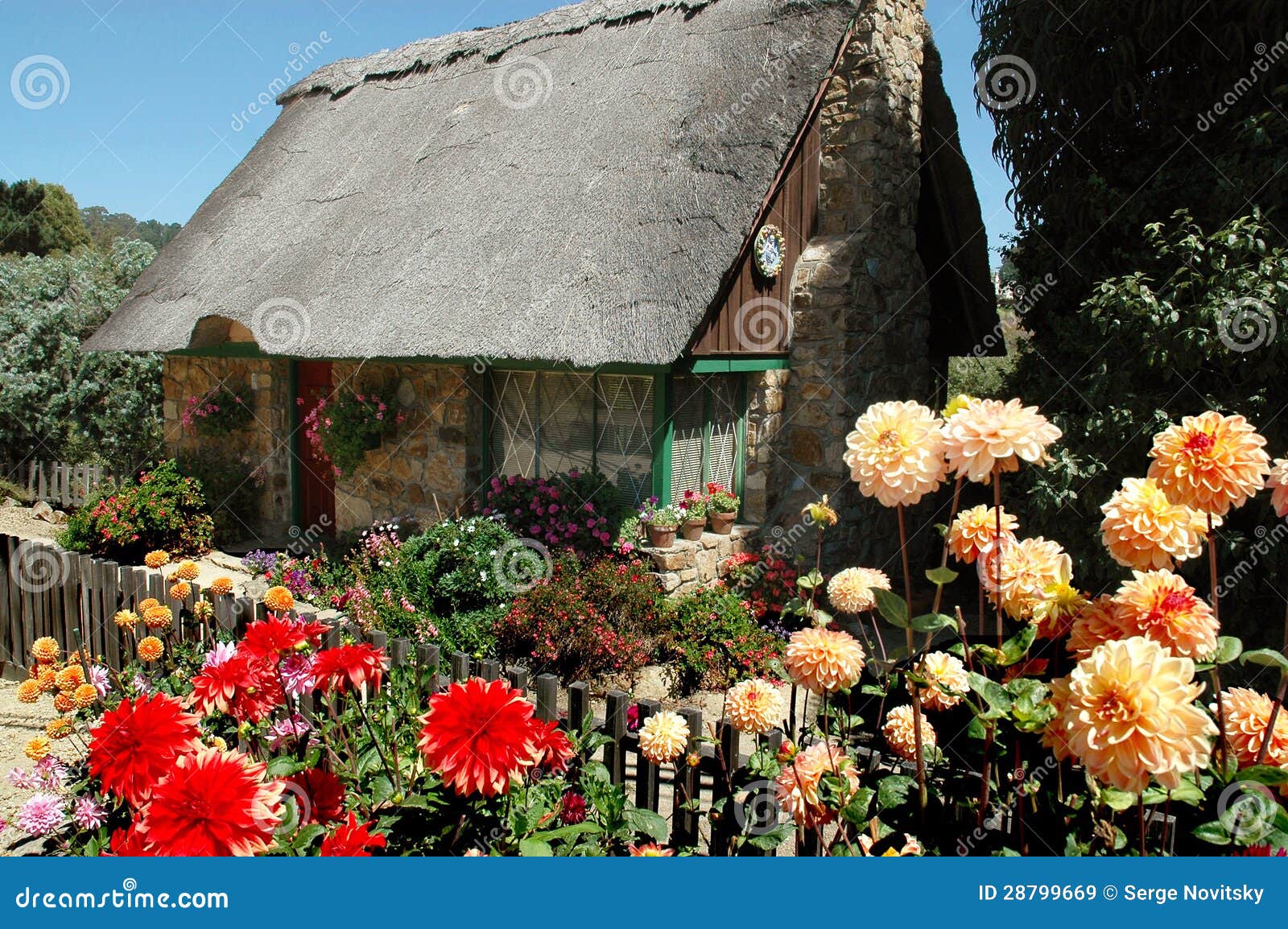 Little Flower House stock image. Image of fence, tree - 28799669