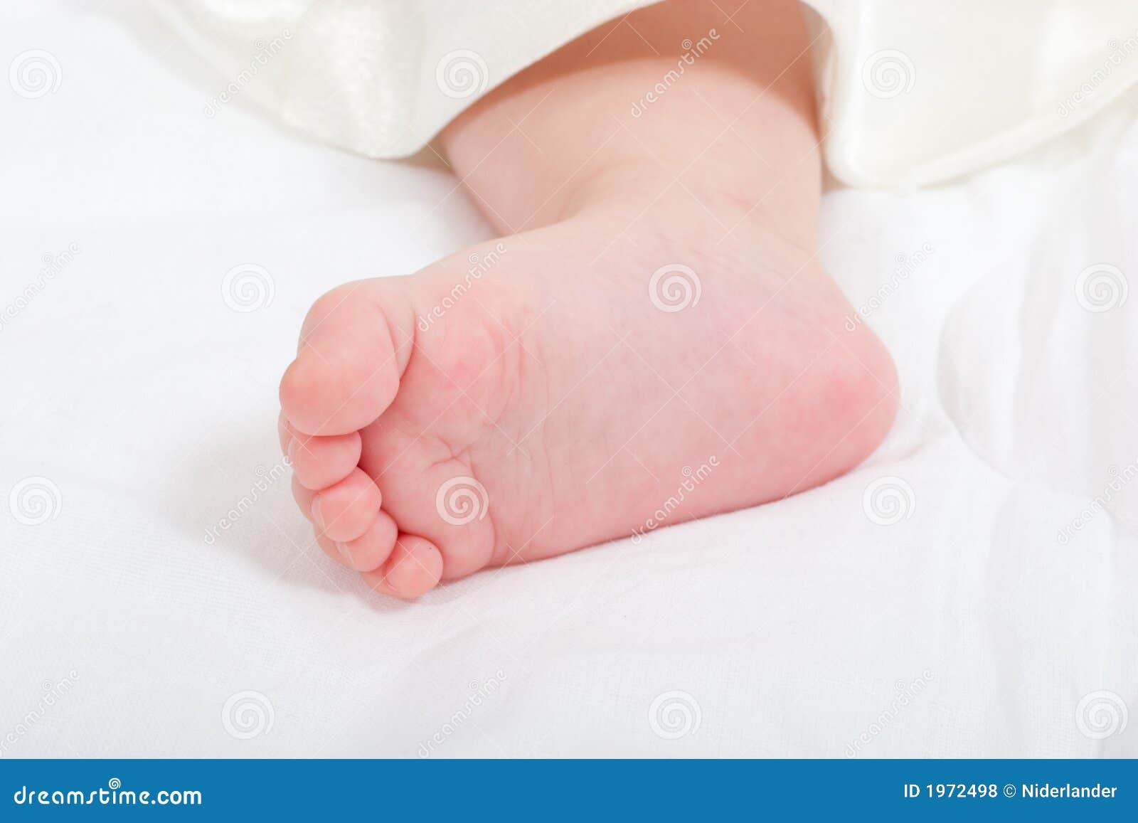 Little foot stock photo. Image of children, child, feet - 1972498