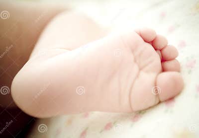 Little foot stock photo. Image of kids, parenthood, childhood - 67092