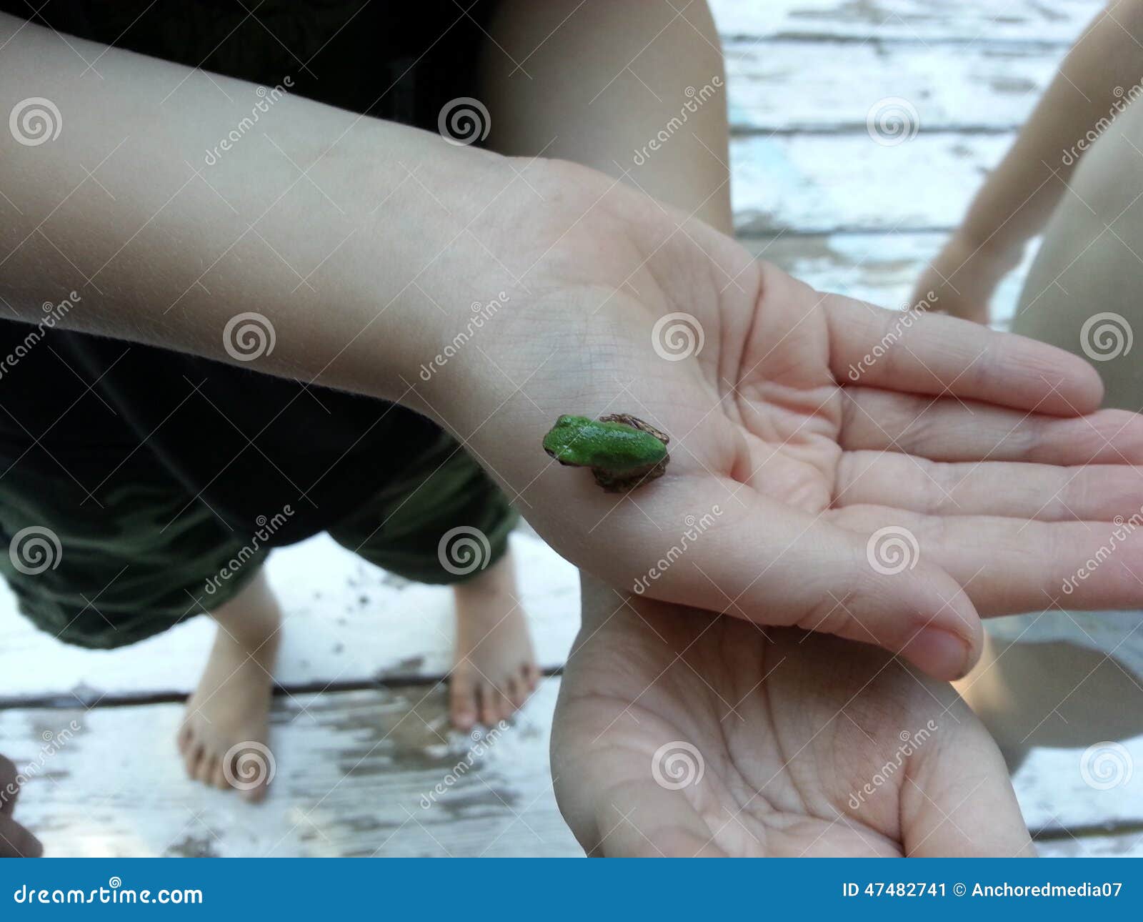 Little Frog in Child S Hand Stock Image - Image of friend, sitting ...