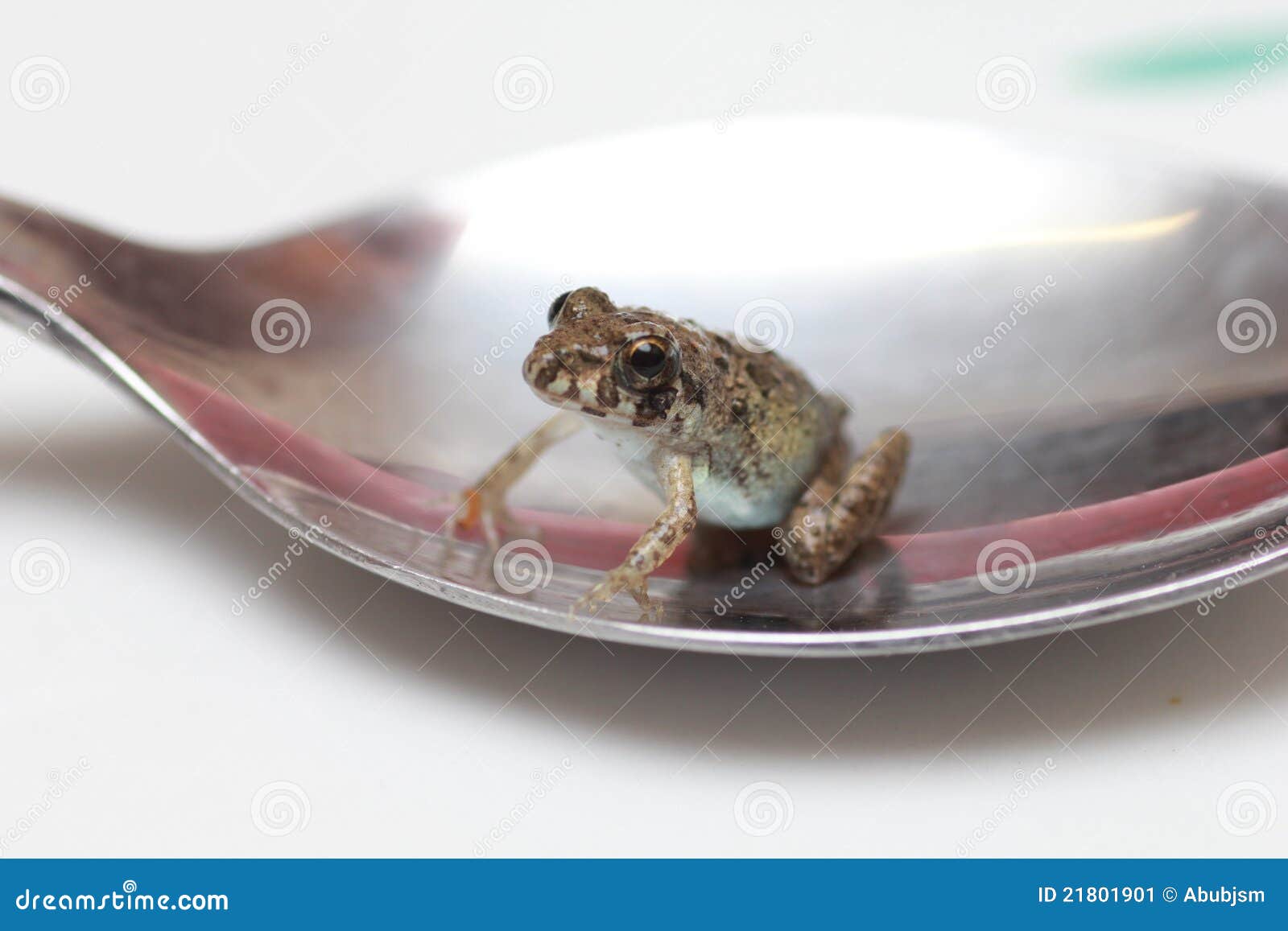 Royalty Free Images, Cartoons, Illustrations And Photos Designed By ...