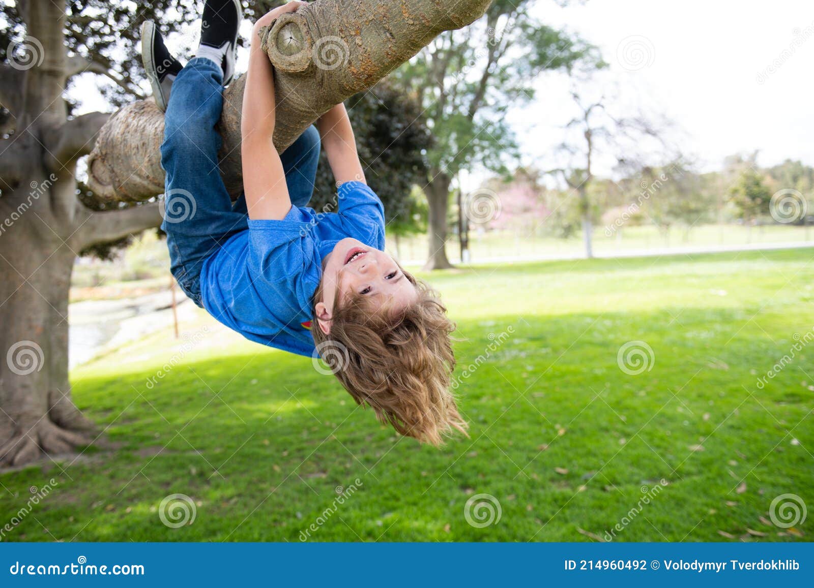 Little Funny Kid Climbing Tree in the Park Stock Photo - Image of ...