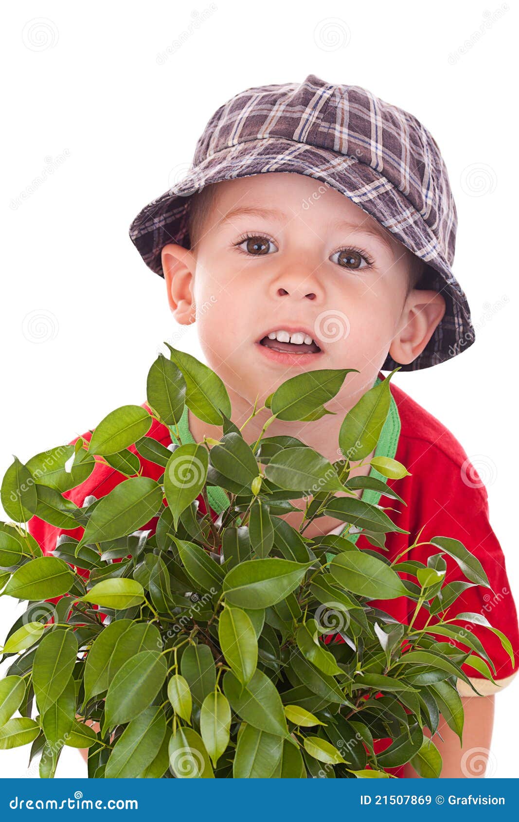 Little gardener boy stock image. Image of gardening, benjamina - 21507869