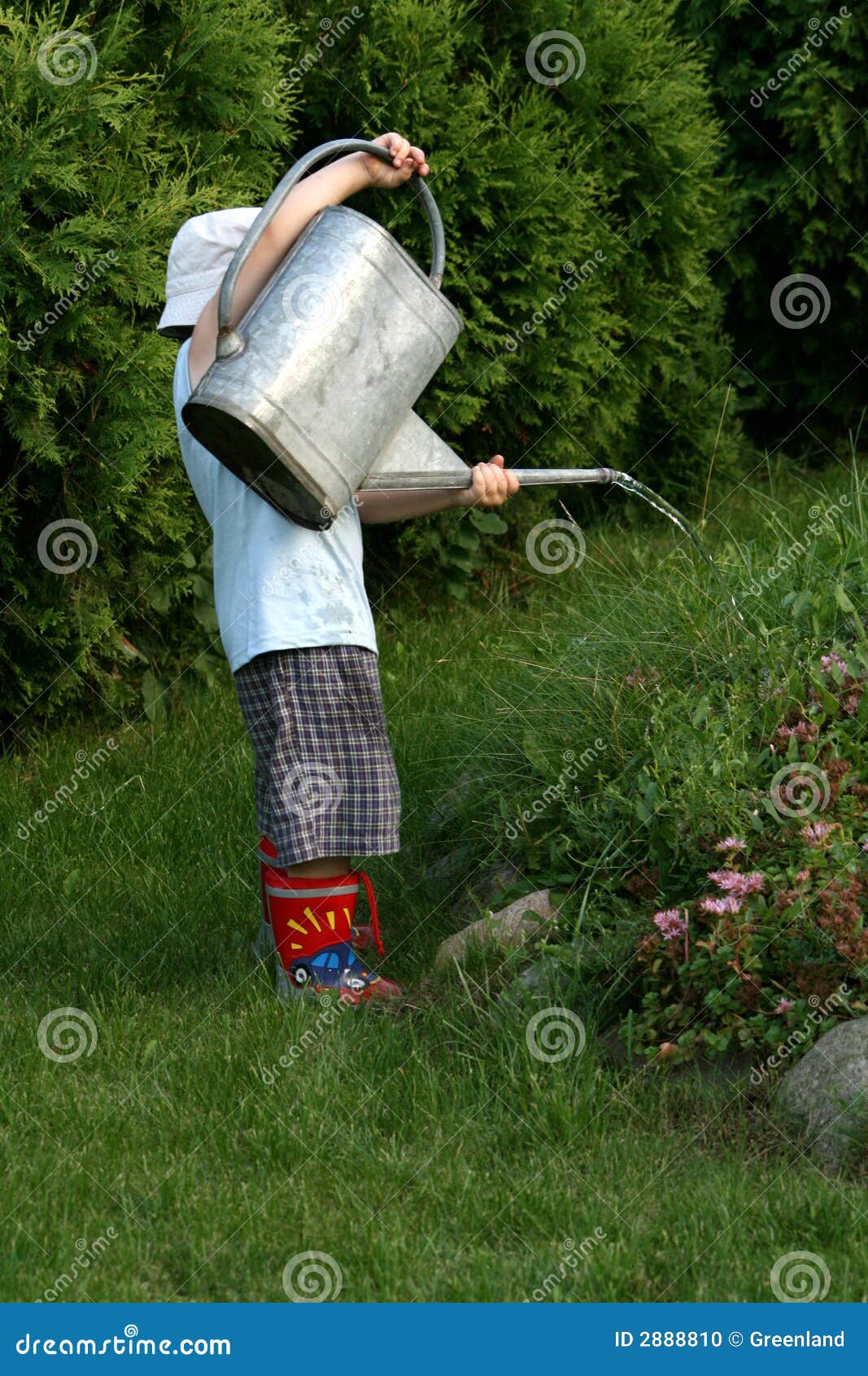 Little gardener boy stock photo. Image of child, gardener - 2888810