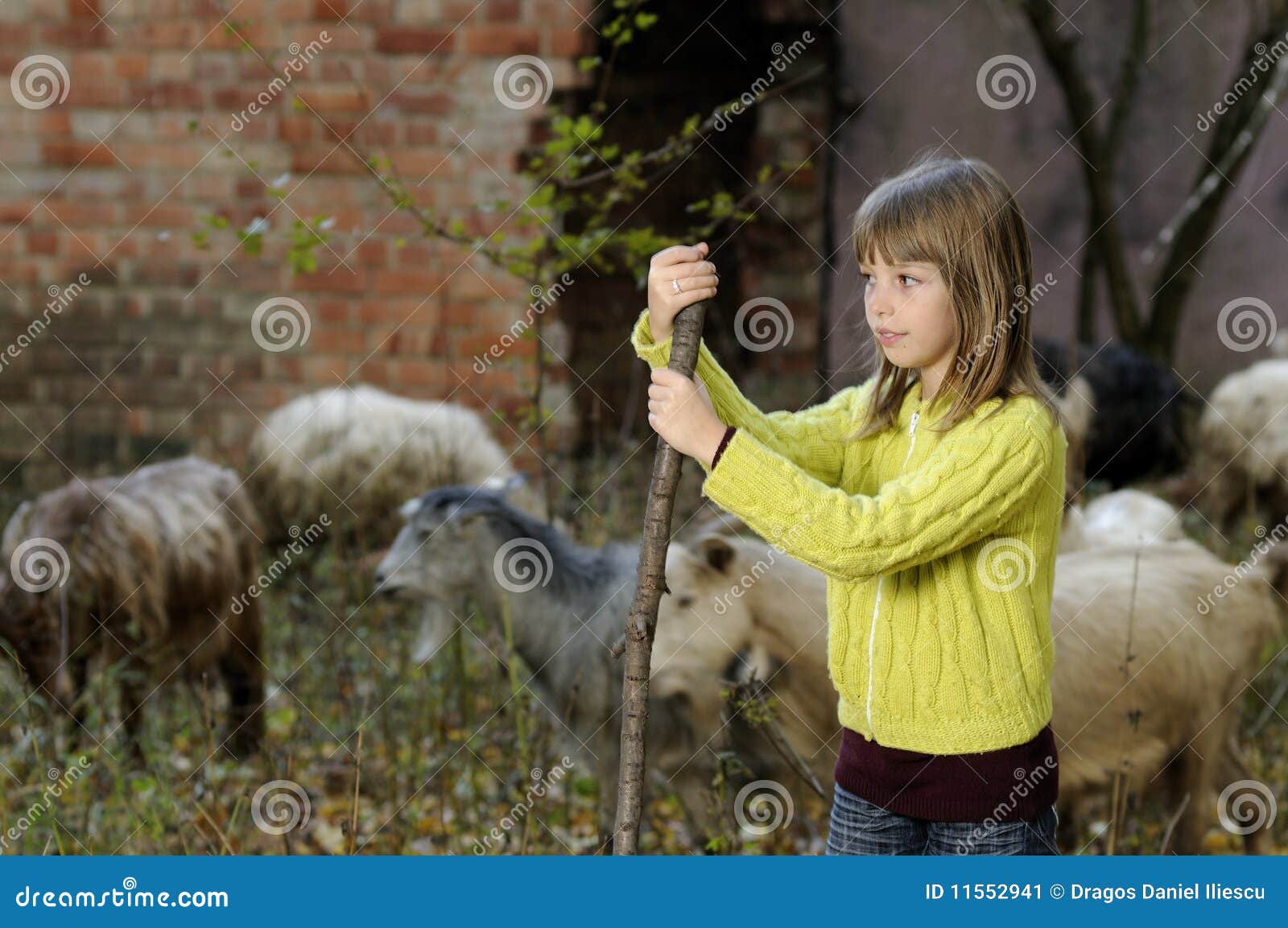 Little girl and animals stock image. Image of cute, child - 11552941