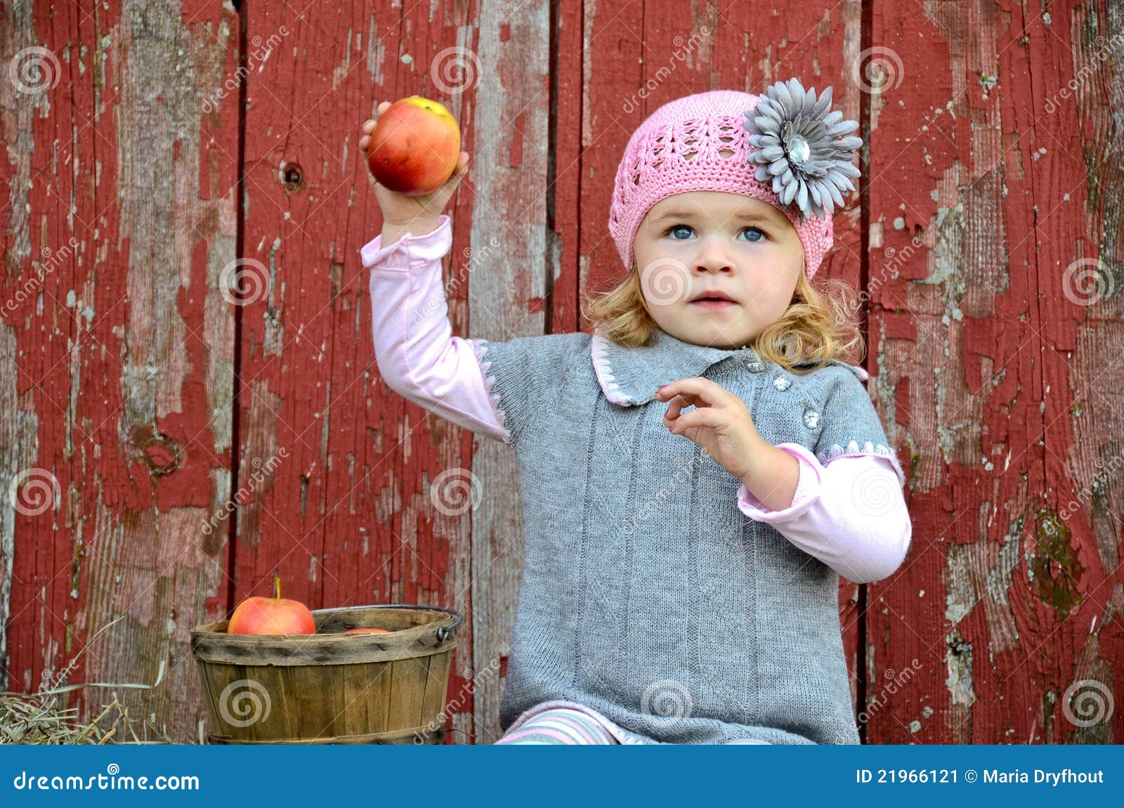 577 Throw Apple Stock Photos - Free & Royalty-Free Stock Photos from ...