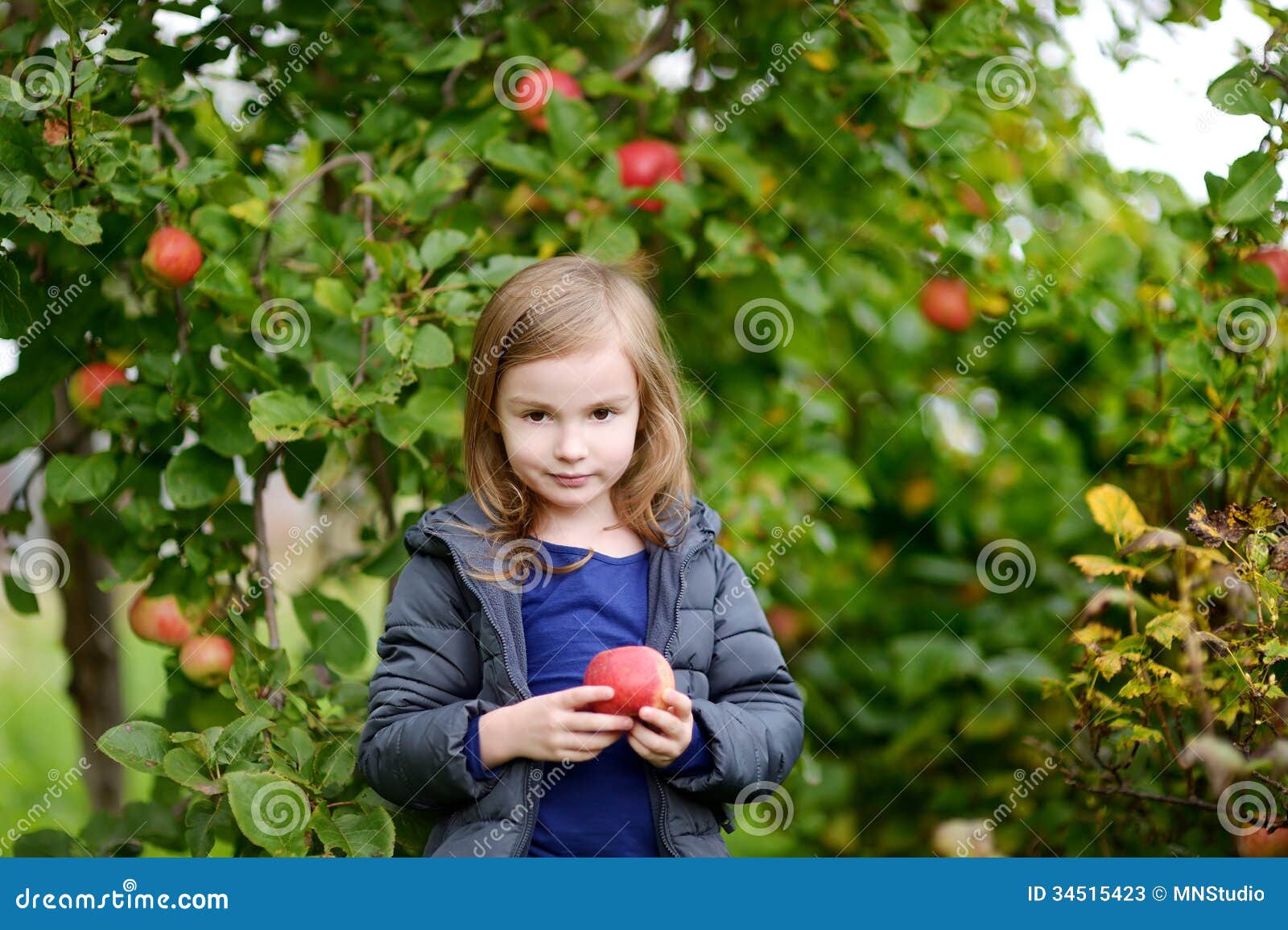 Little Girl with an Apple by an Apple Tree Stock Image - Image of ...