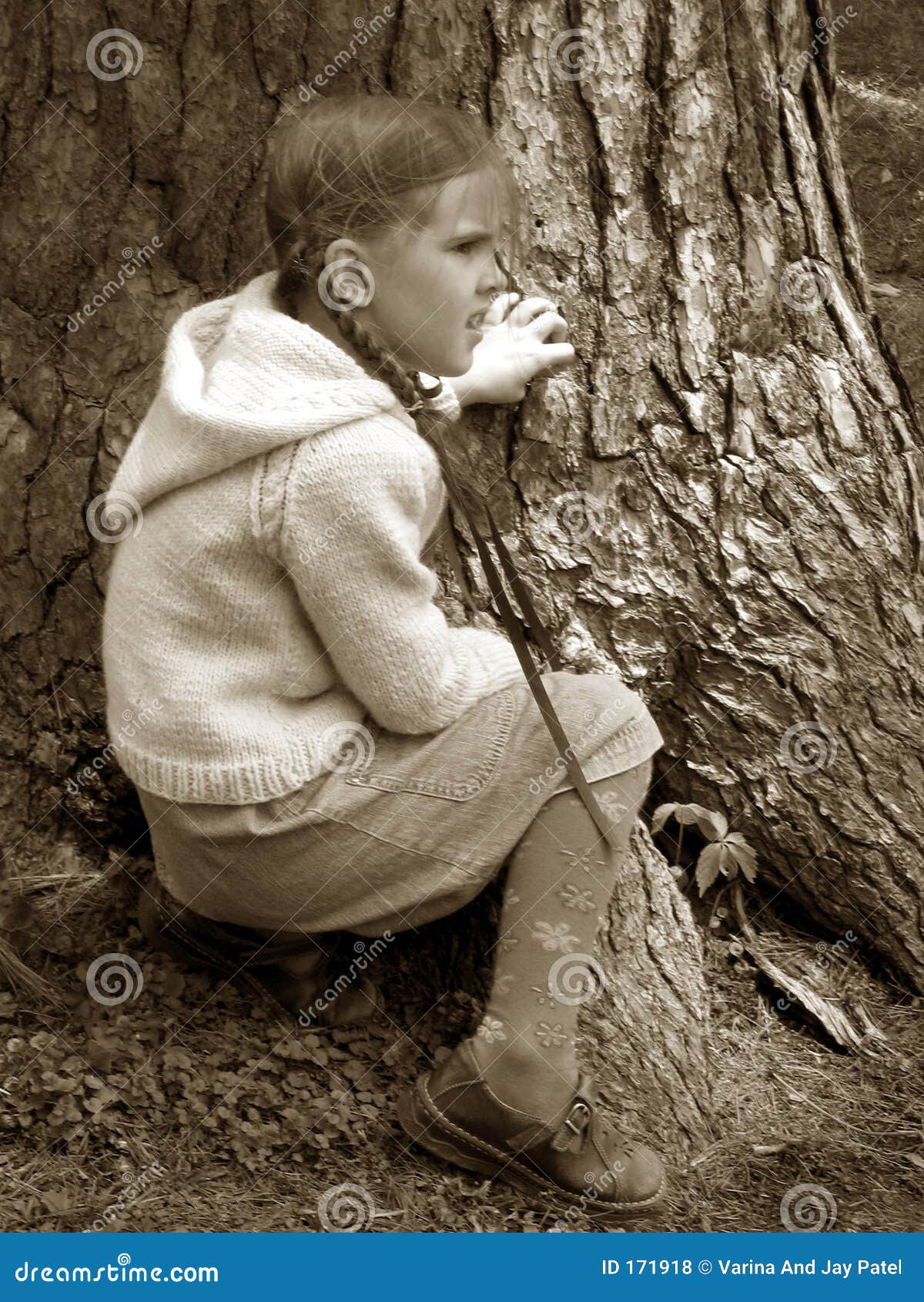 Little Girl - Big Tree stock photo. Image of people, progeny - 171918