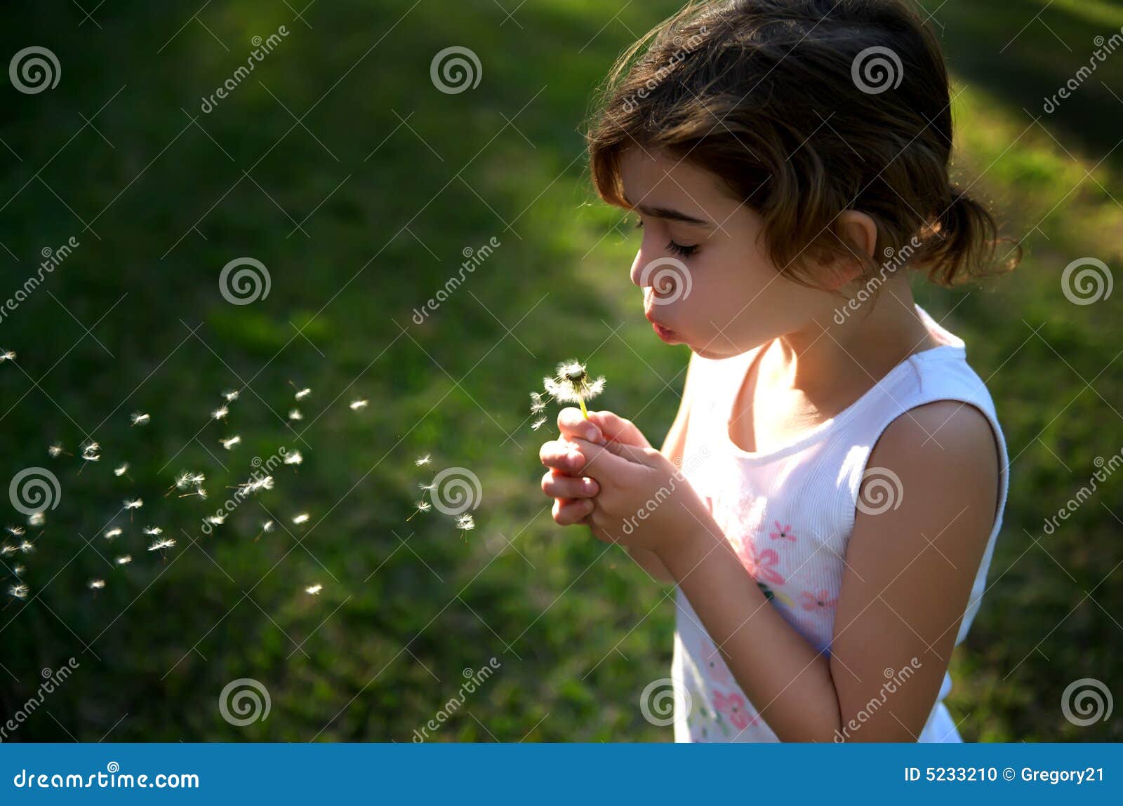 Little Girl Blowing a Dandelion and Making Wish Stock Photo - Image of ...