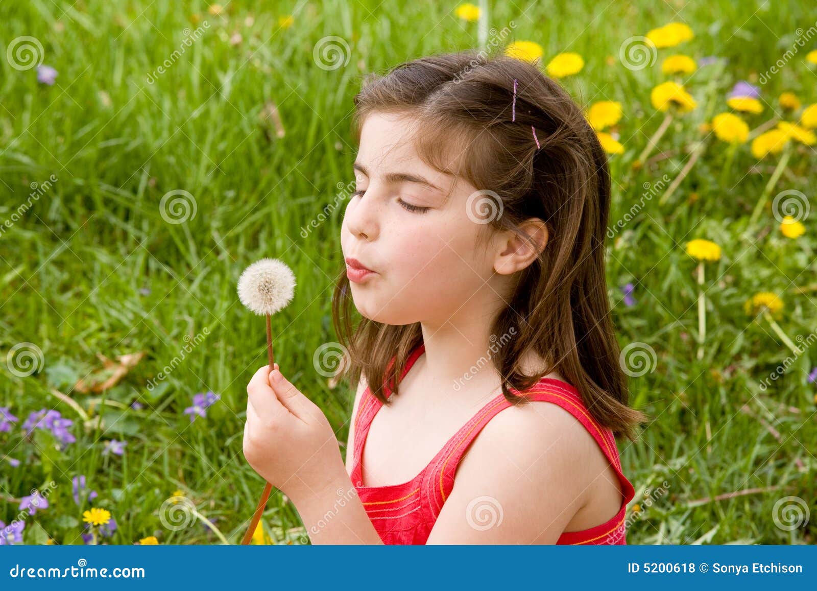 Little Girl Blowing Dandelion Seeds Stock Photo - Image of girls ...