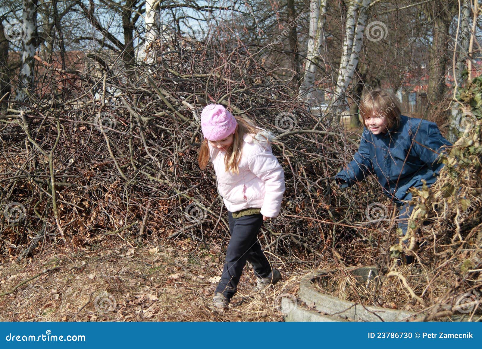Little Girl and Boy in the Bush Stock Photo - Image of trees, model ...
