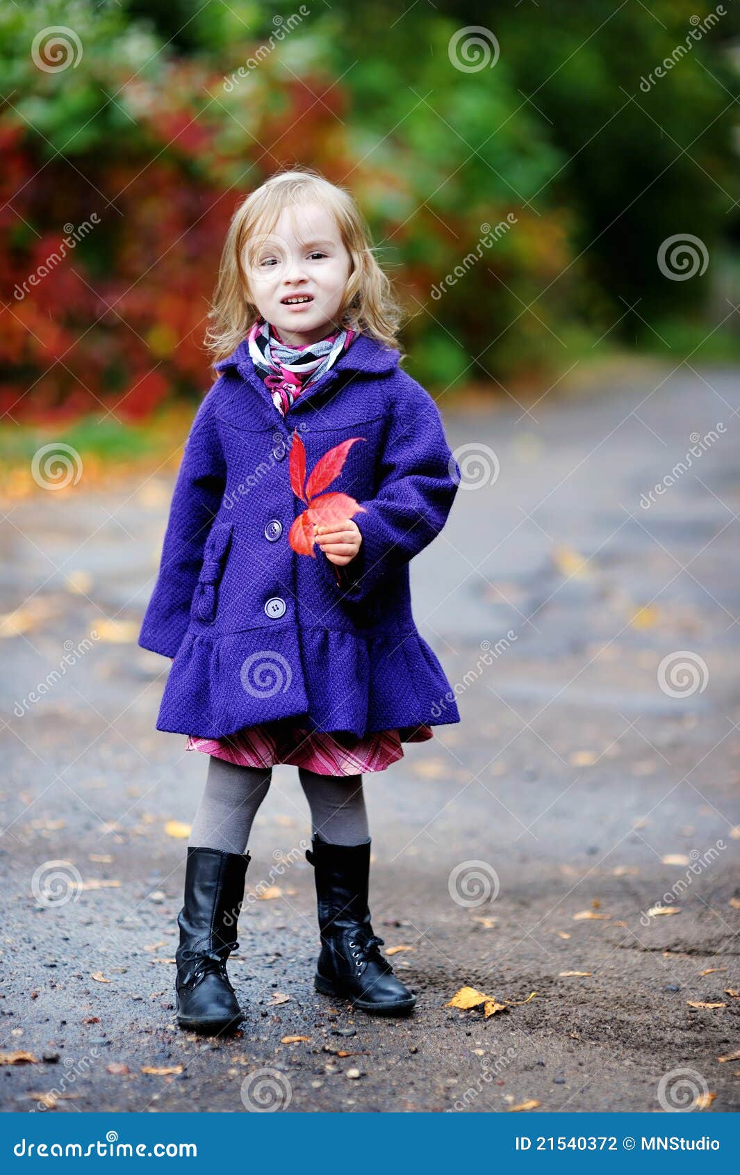 Little Girl in Bright Blue Coat at Autumn Stock Photo - Image of bright ...