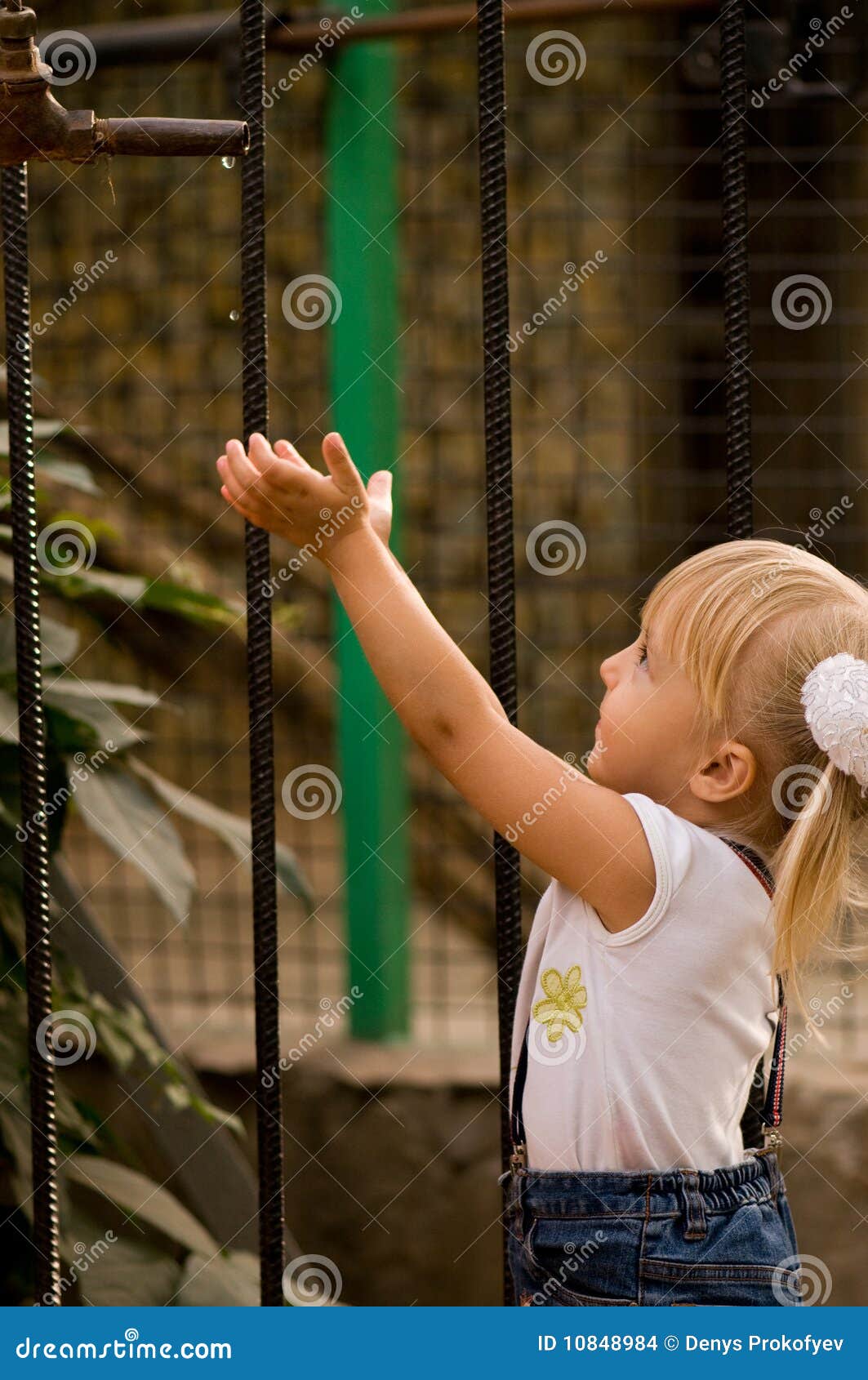 Little girl catching water stock photo. Image of caucasian - 10848984
