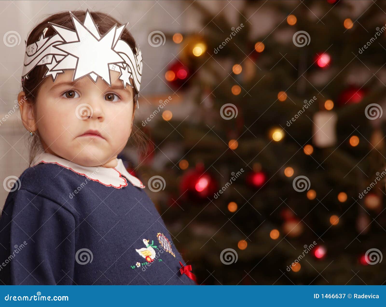 A Little Girl and Christmas Tree Stock Image - Image of innocence ...