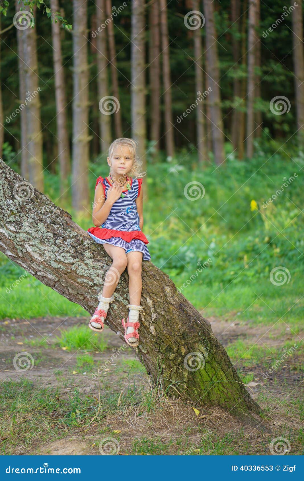 Little Girl Climbed on Tree Stock Image - Image of looking, person ...