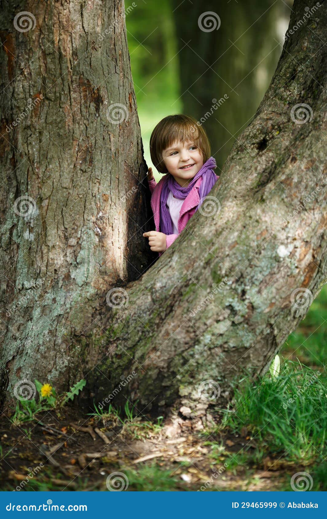 Little Girl Climbing Tree in the Park Stock Image - Image of grass ...