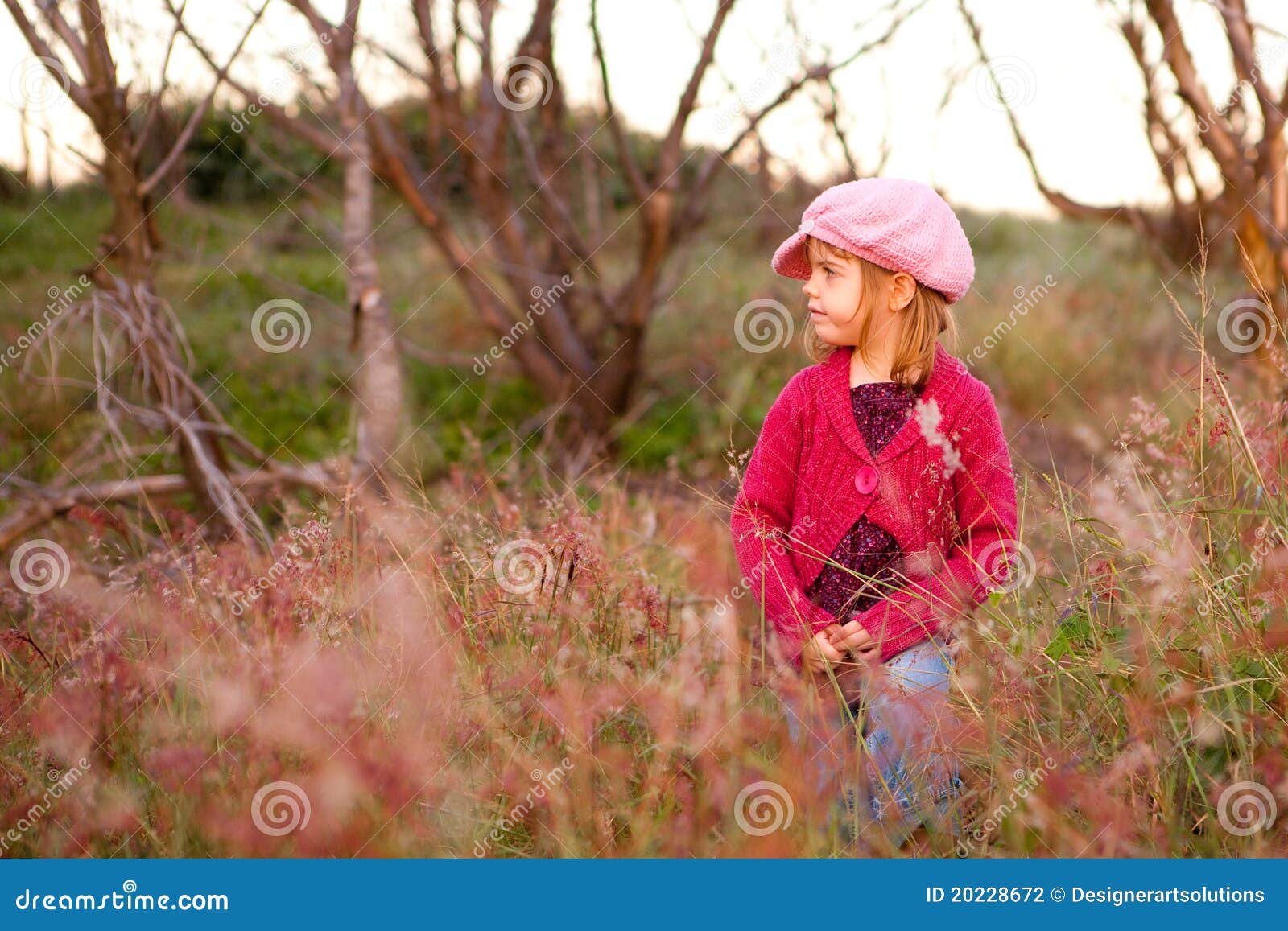 Little Girl in a Country Field Stock Photo - Image of children, knit ...