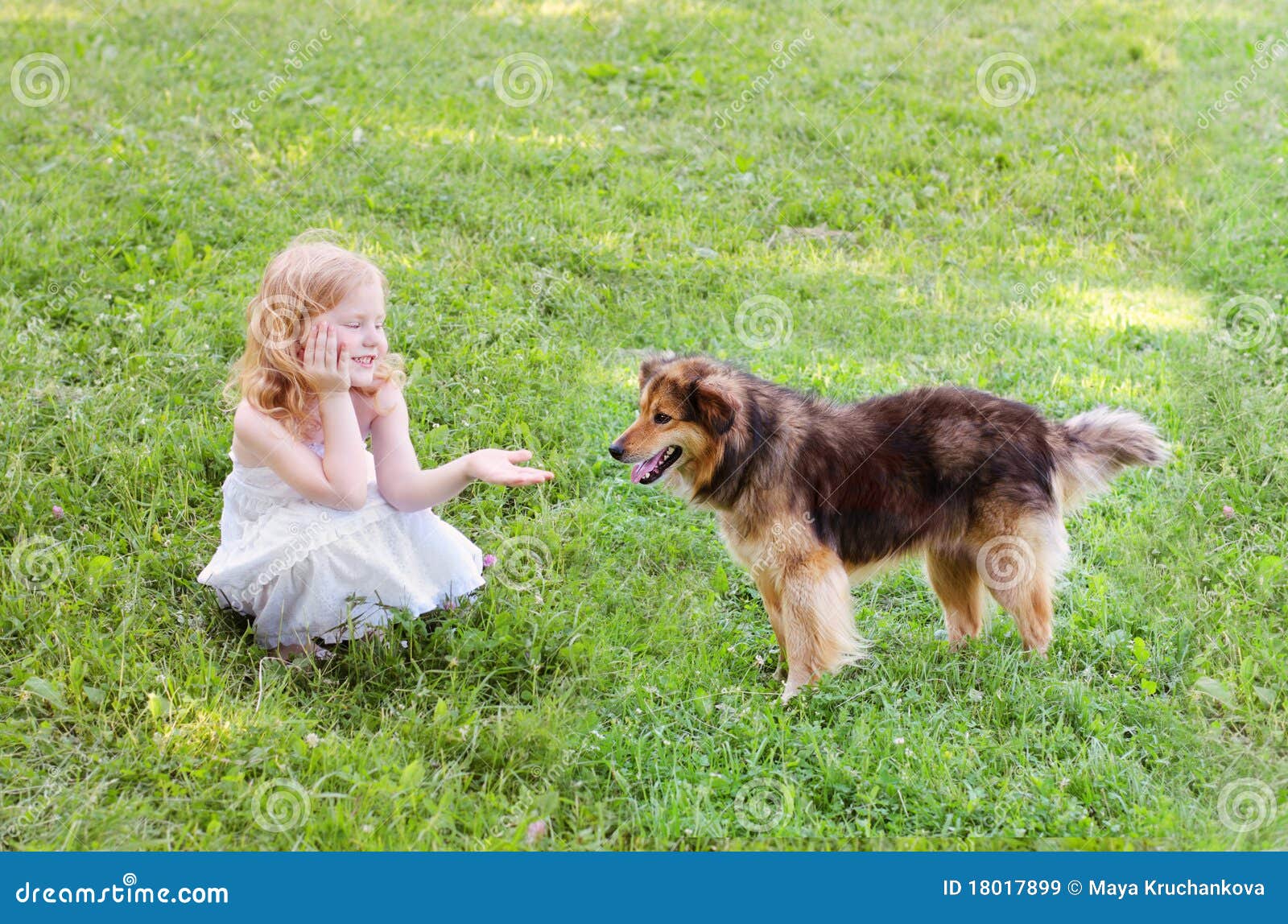 Little girl with dog stock image. Image of outdoor, friendship - 18017899
