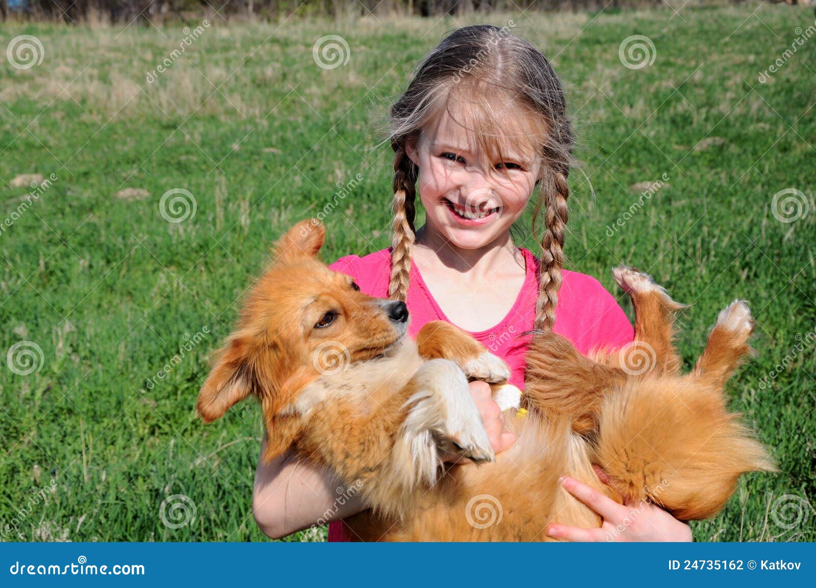 Little girl and dog stock photo. Image of close, country - 24735162