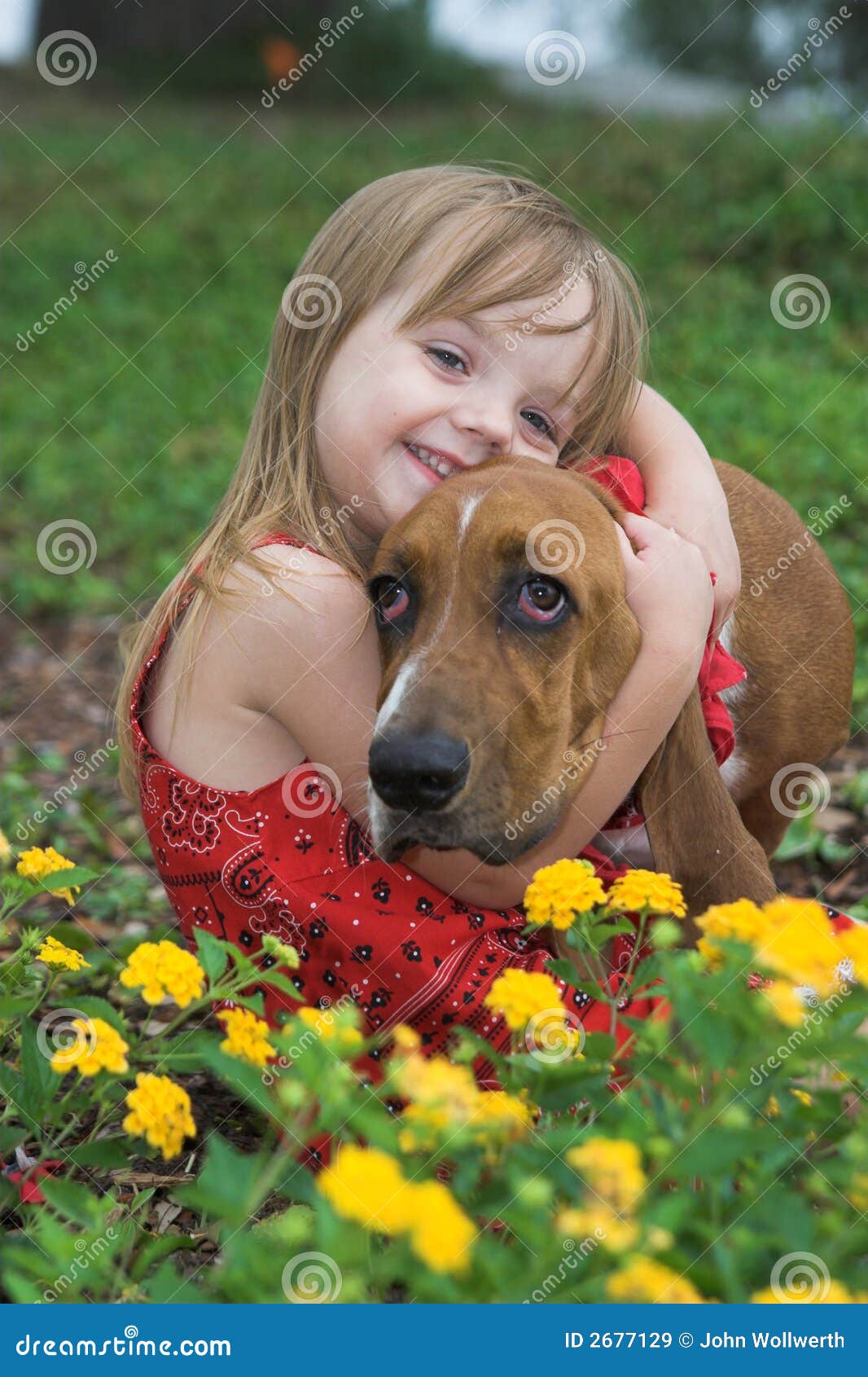 Little girl with dog stock image. Image of lantana, basset - 2677129