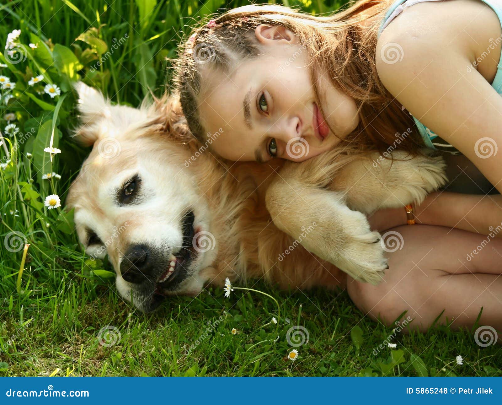Little girl and a dog stock photo. Image of holidays, leaves - 5865248