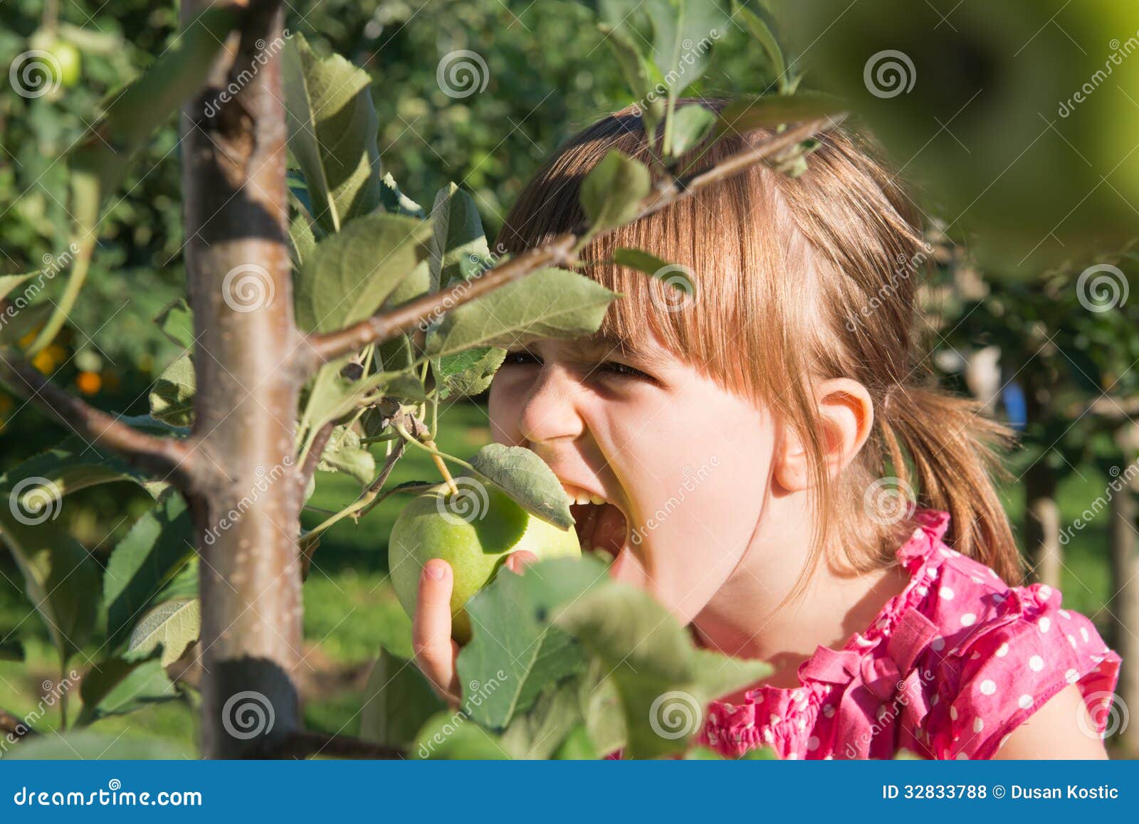 A little girl eat an apple stock photo. Image of life - 32833788