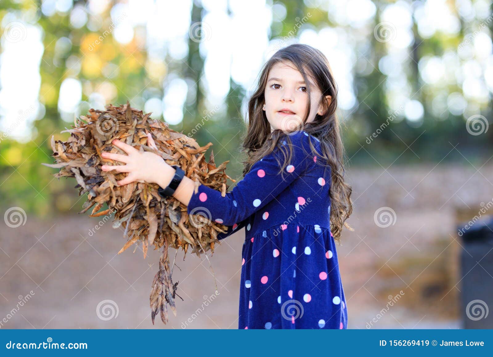 Little girl enjoying fall stock image. Image of nature - 156269419