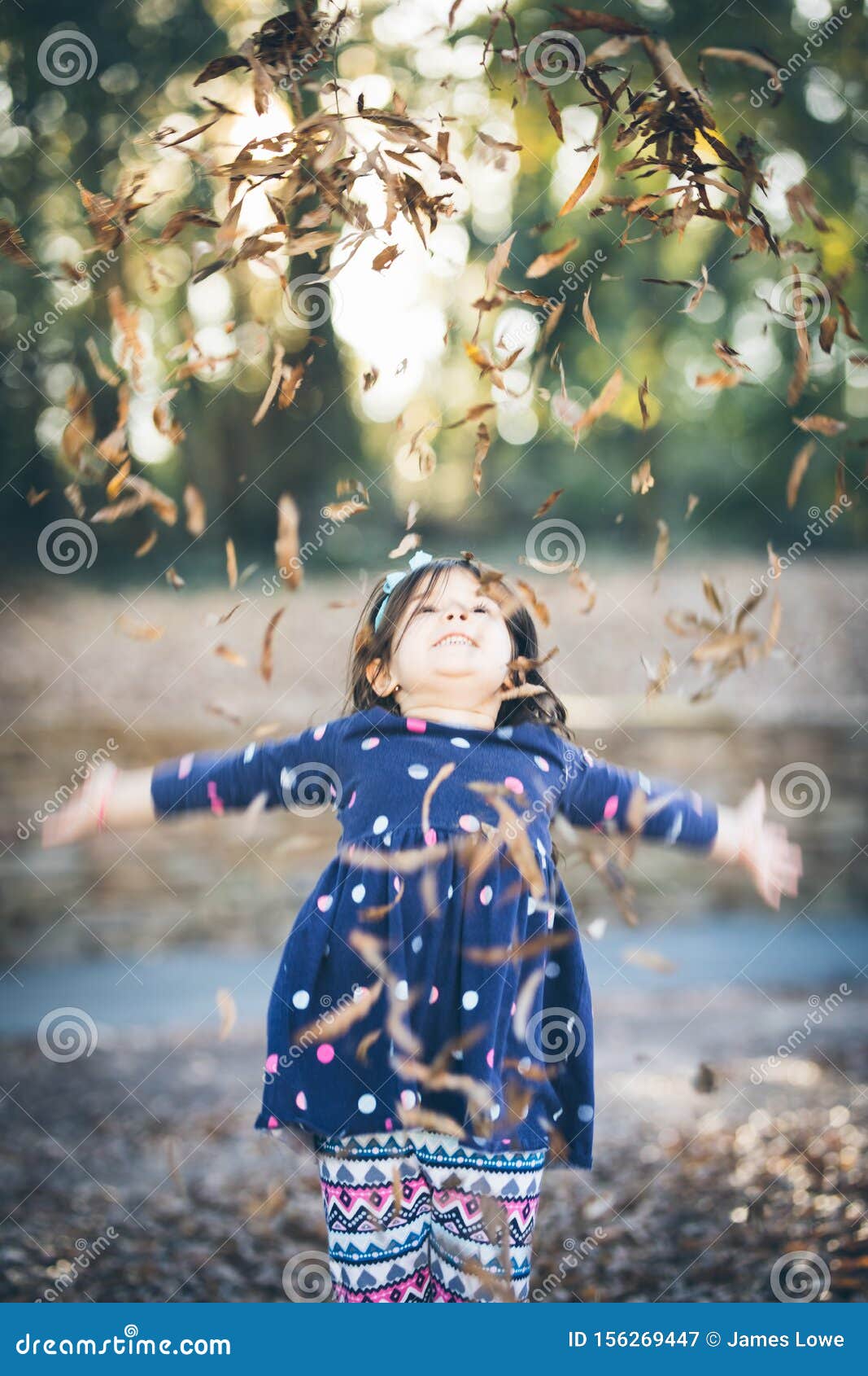 Little girl enjoying fall stock image. Image of light - 156269447
