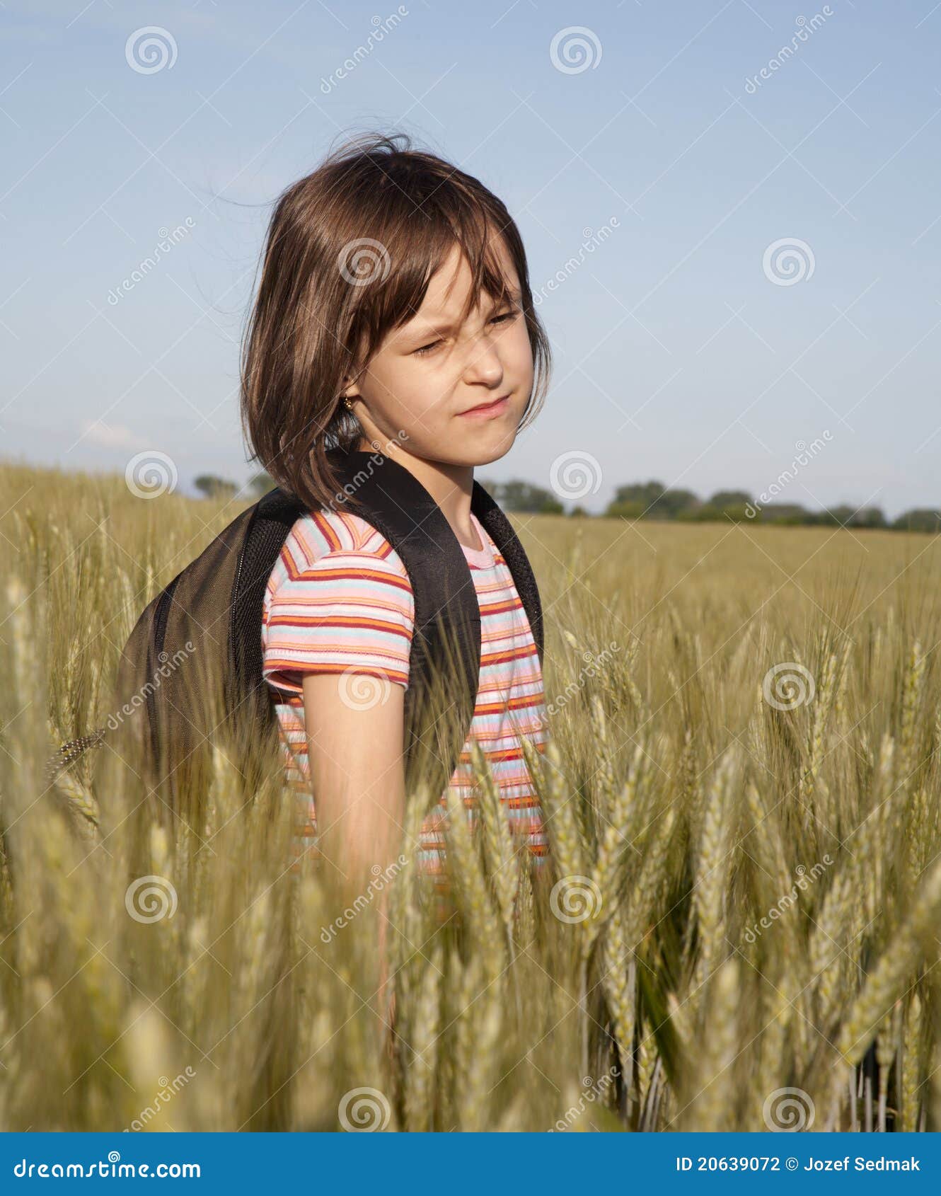 Little girl on the field stock photo. Image of portrait - 20639072