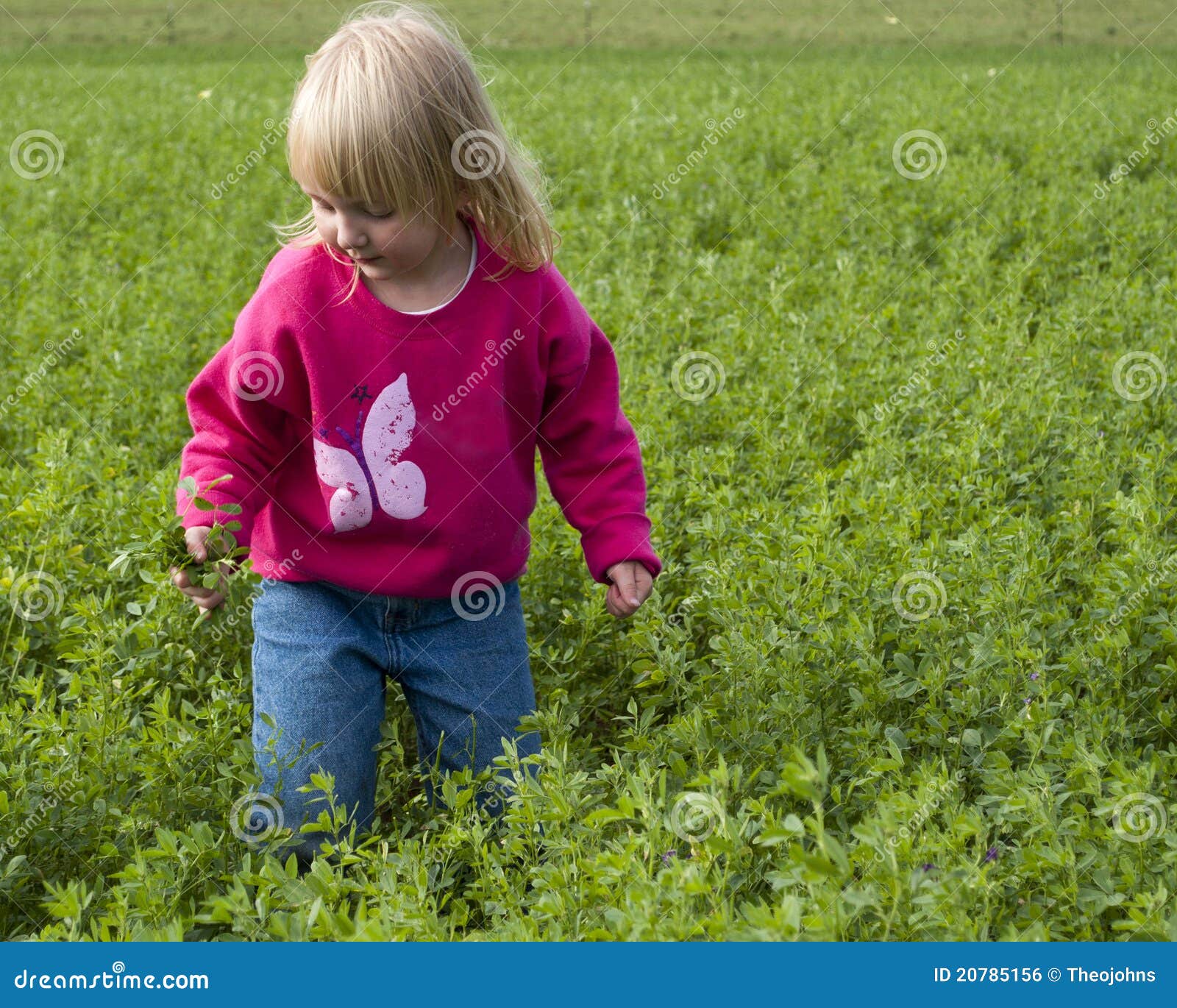 Little girl in field stock photo. Image of green, little - 20785156
