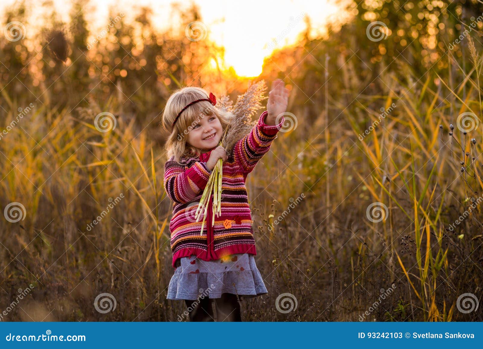 Little Girl in Field with Sunset Stock Image - Image of botanical, hair ...