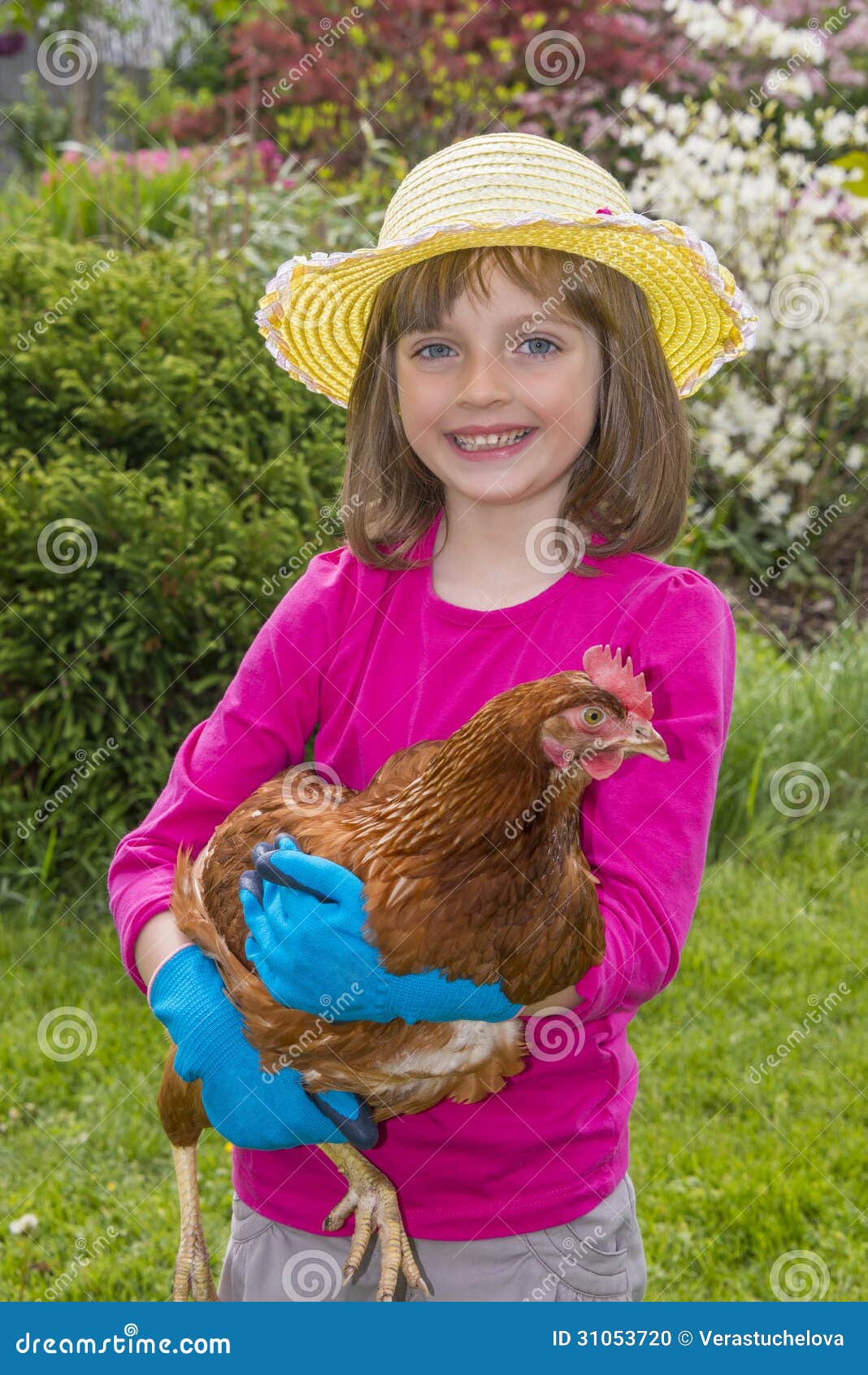 Little girl with a hen stock photo. Image of live, lifestyle - 31053720
