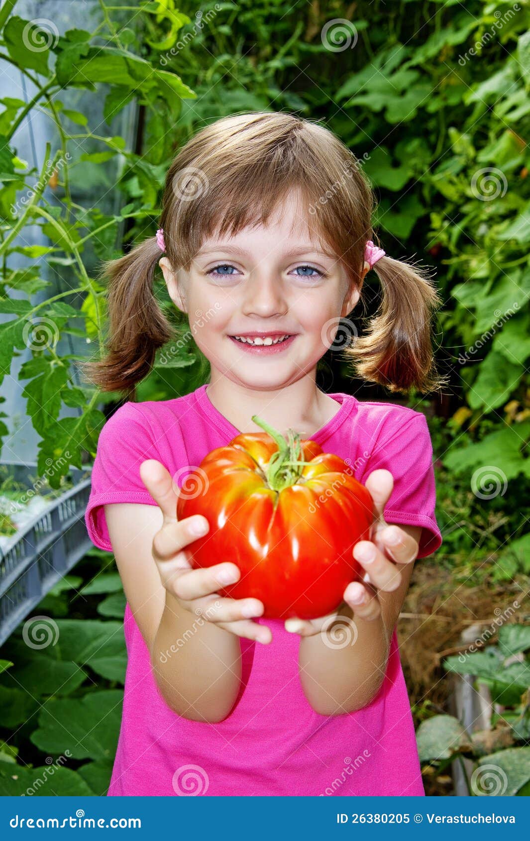 Little Girl Holding a Big Tomato Stock Image - Image of diet, autumn ...