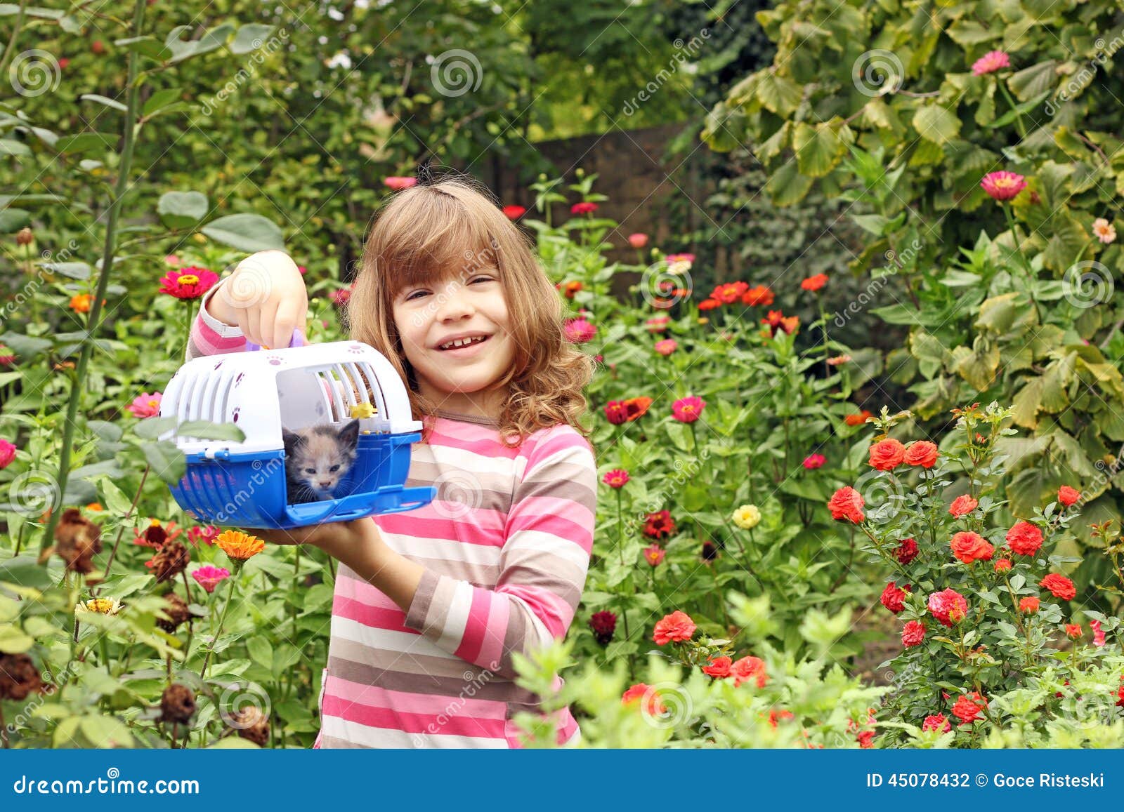 Little Girl Holding Pet Box Stock Photo - Image of positive, smile ...