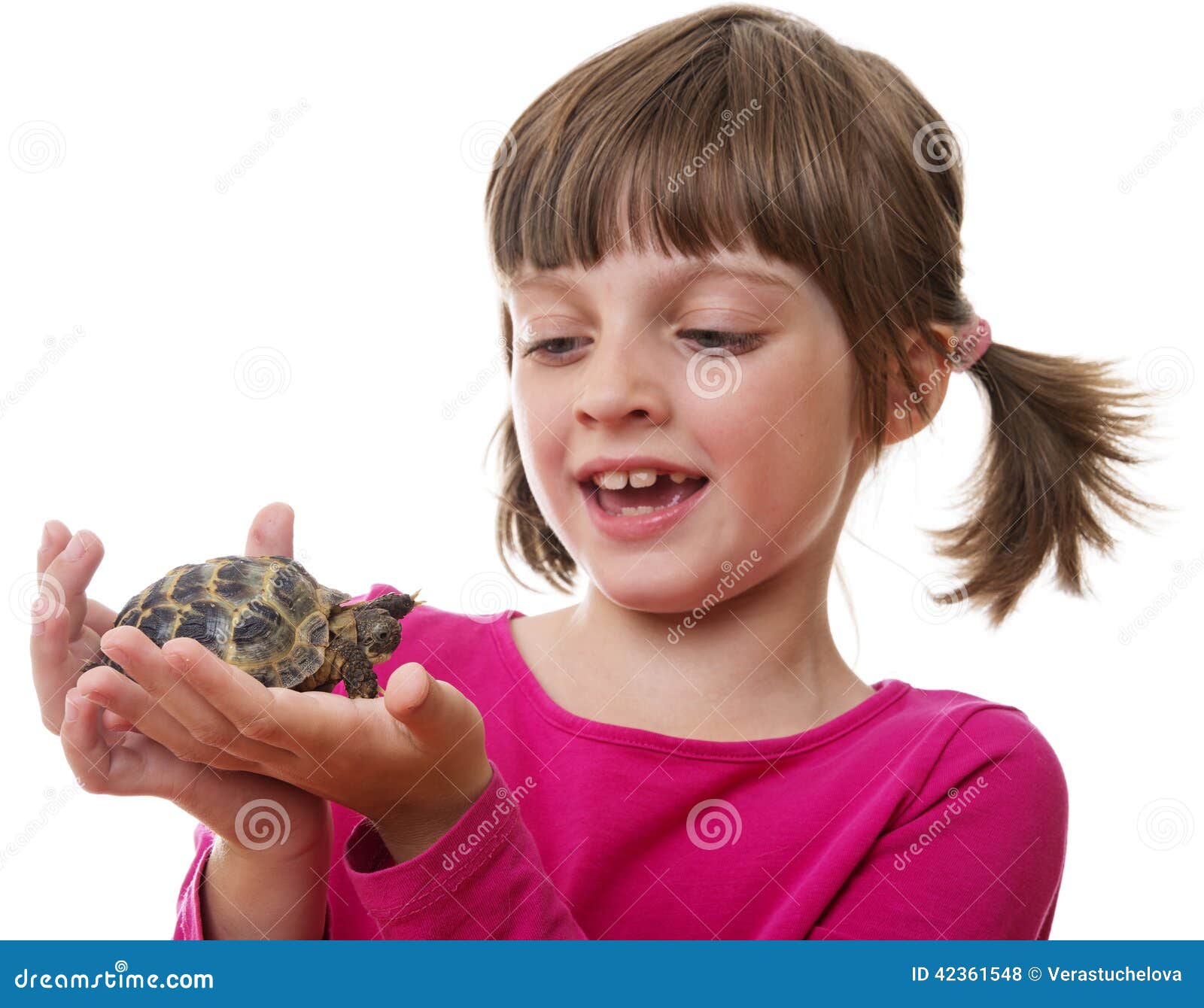 Little Girl Holding a Pet Turtle Stock Photo - Image of happy, friend ...