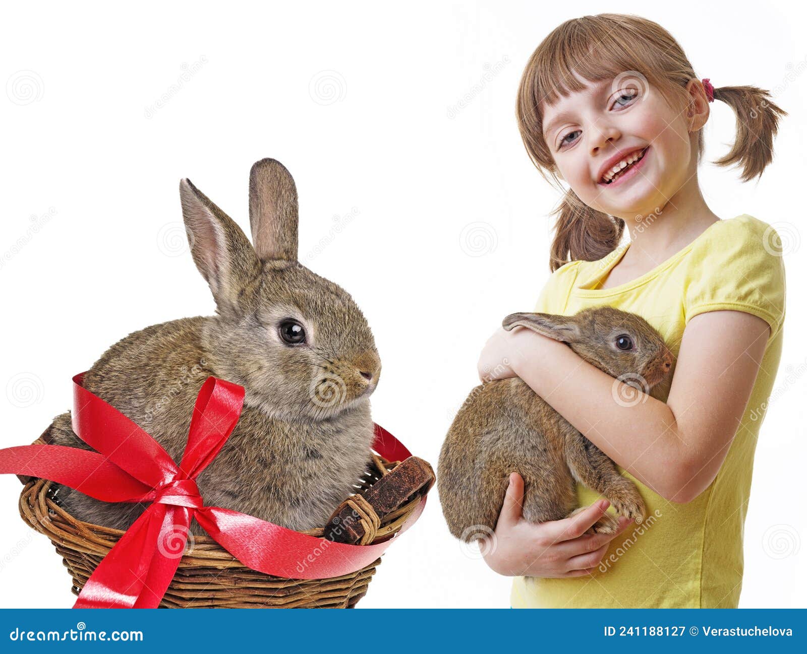 A Little Girl Holding Little Rabbit Stock Image - Image of isolated ...