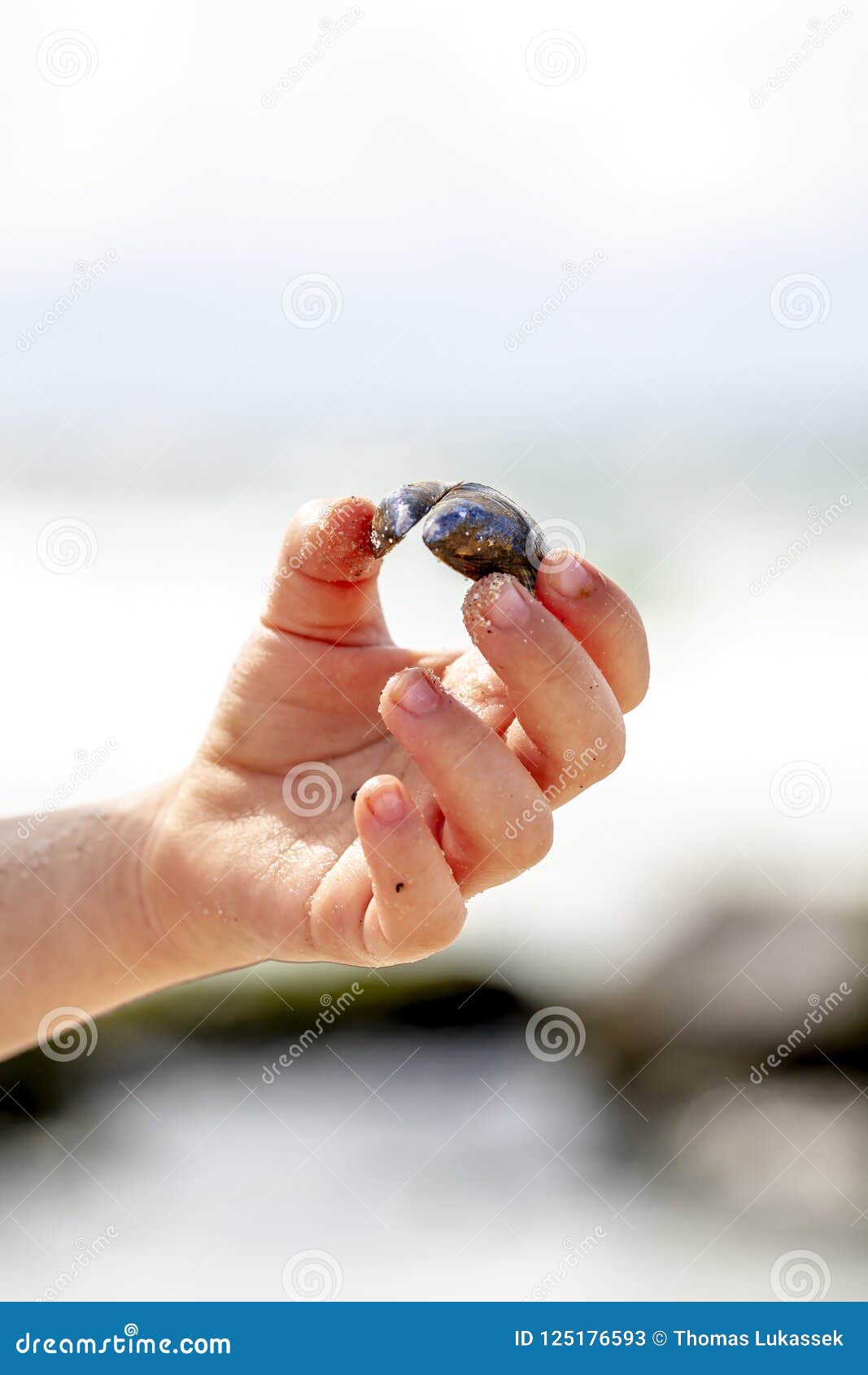 Little Girl Holding Shell at the Beach Stock Image - Image of enjoy ...