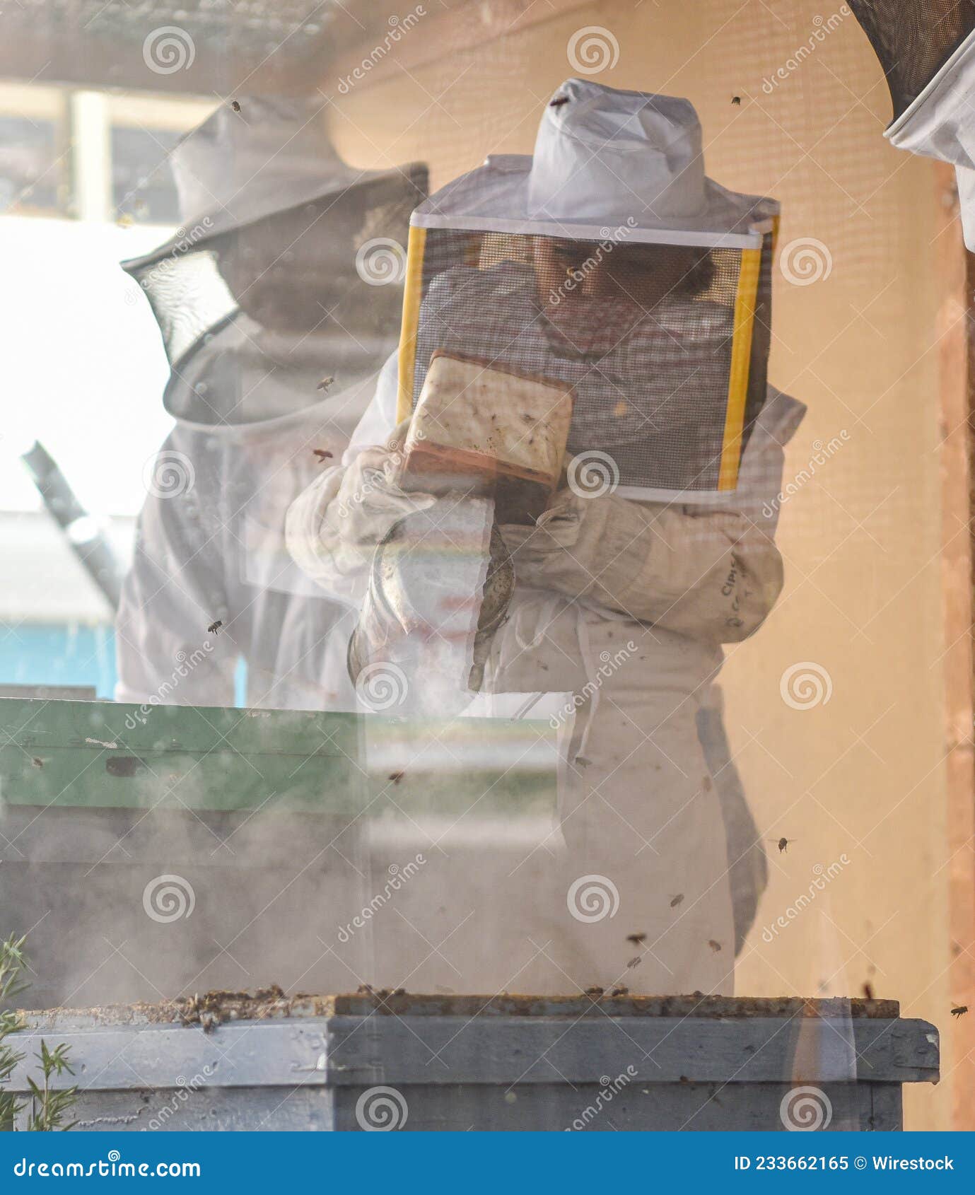 Little Girl Inside an Apiary Using the Bee Smoker. Selective Focus ...