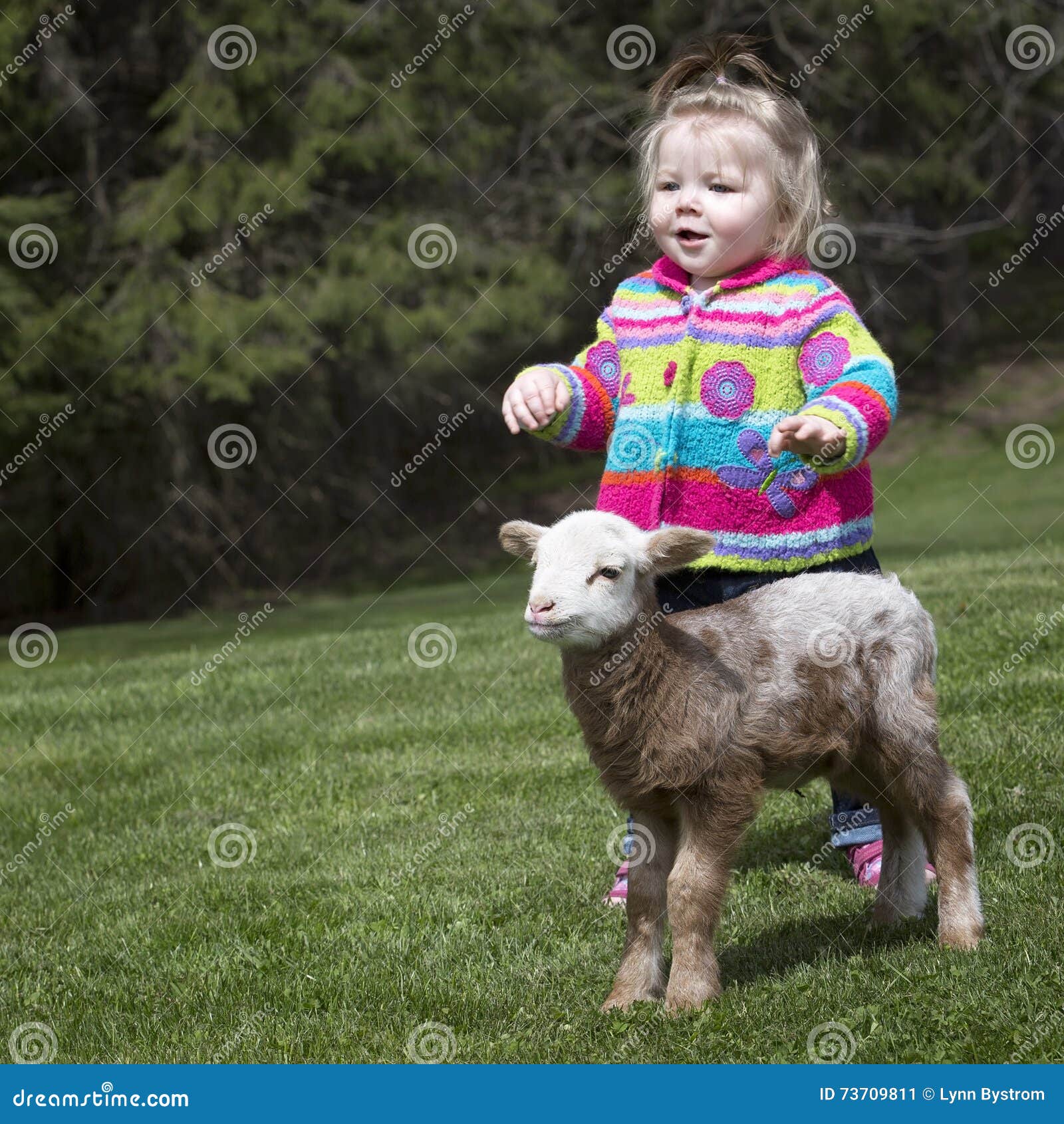Little girl and lamb stock image. Image of child, joyful - 73709811