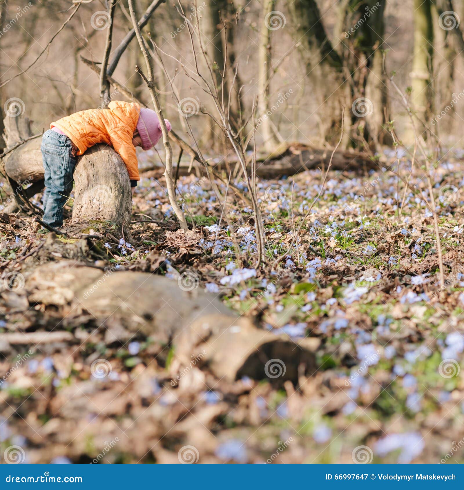 A Little Boy Learns To Go Potty. Accustom The Child To The Potty Stock ...