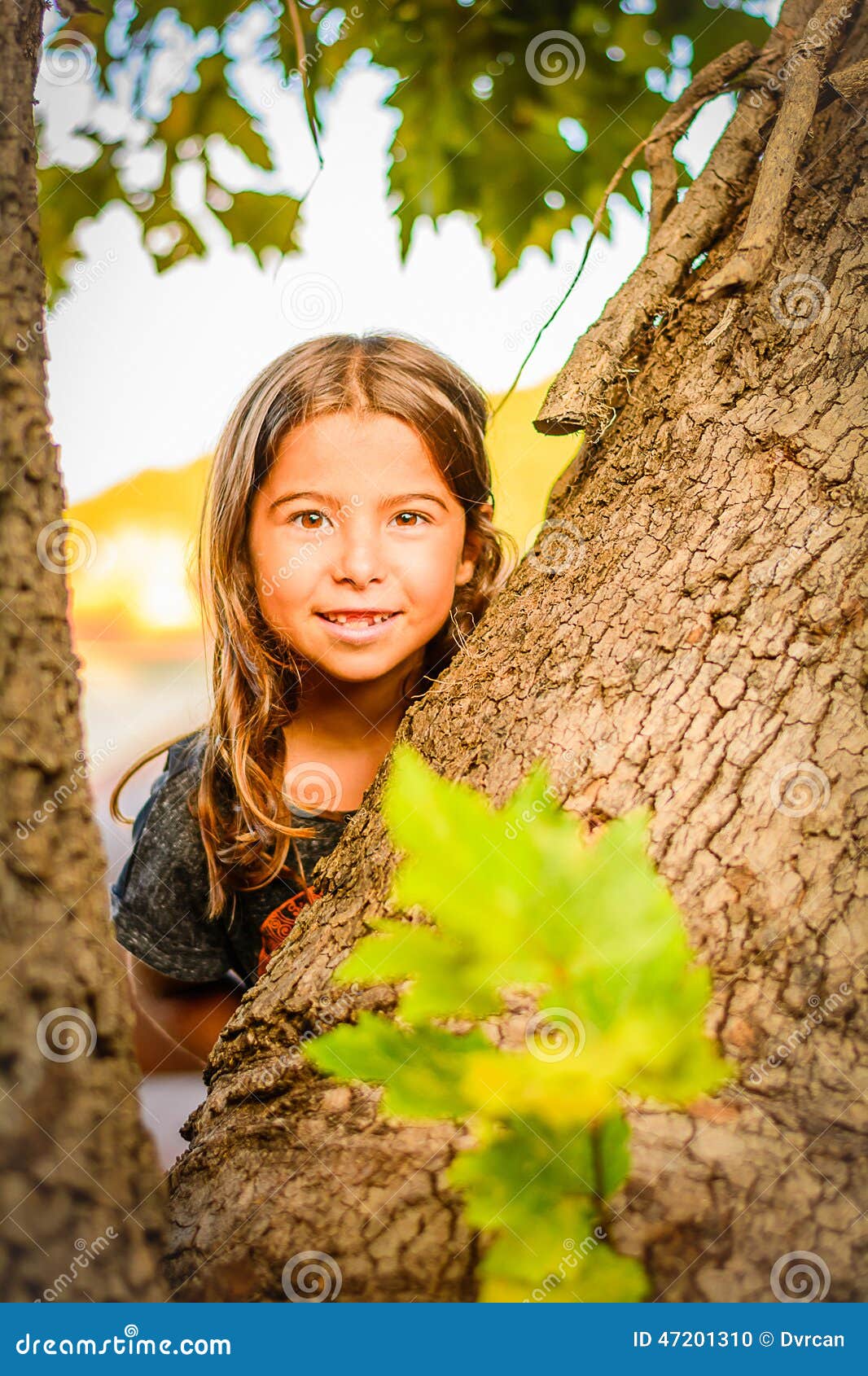 Little Girl Looking from Behind the Tree Stock Photo - Image of ...