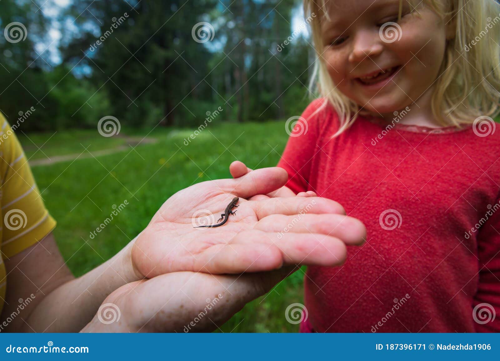 Little Girl Looking at and Exploring Lizard in Nature Stock Image ...