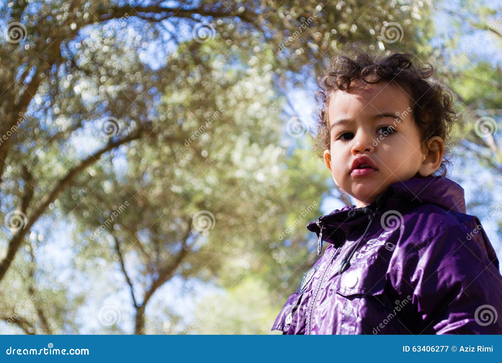 Little Girl among Olive Trees Stock Image - Image of purple, little ...