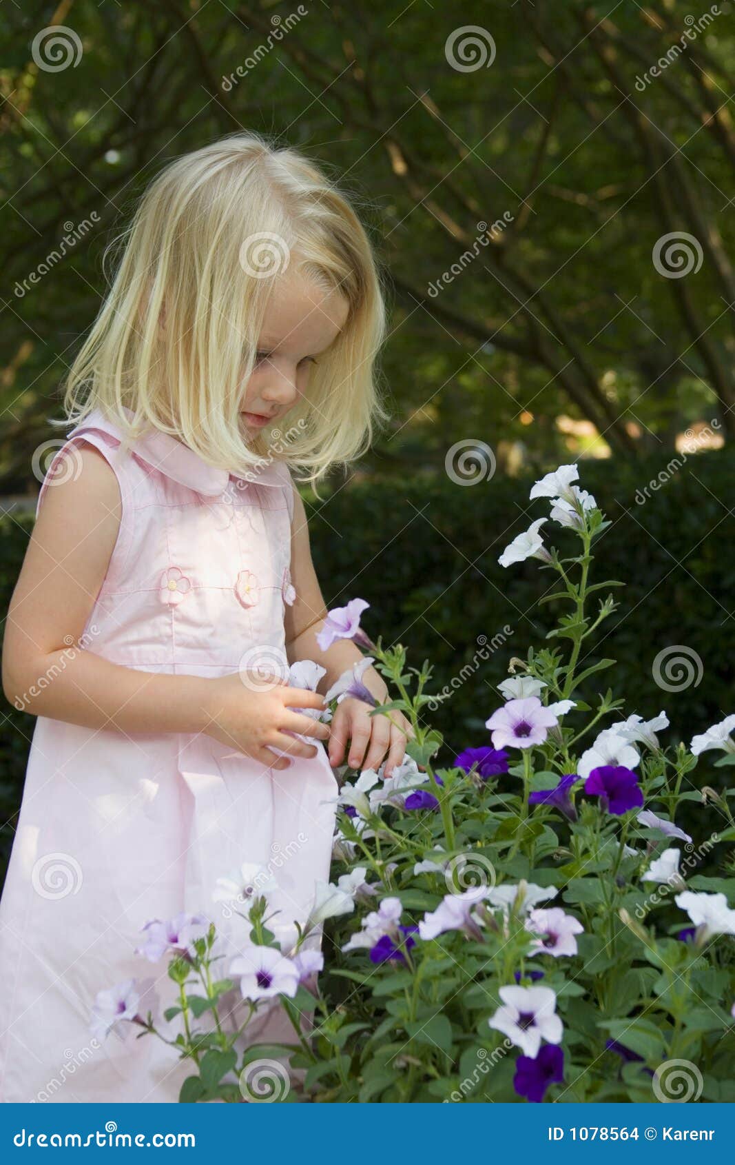 Little Girl Picking Flowers Stock Photo - Image of family, happy: 1078564