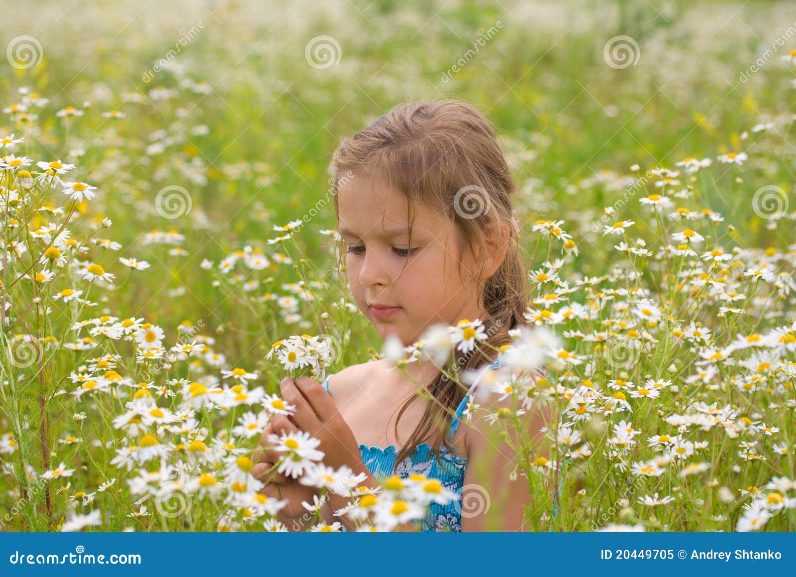 Little Girl Picking Flowers Stock Image - Image of female, child: 20449705