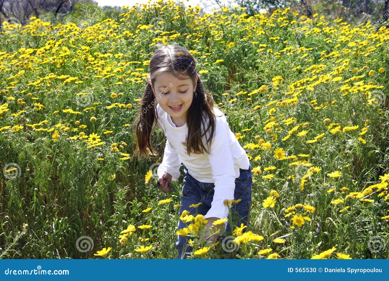 Little Girl Picking Flowers Stock Photo - Image of babies, daughters ...