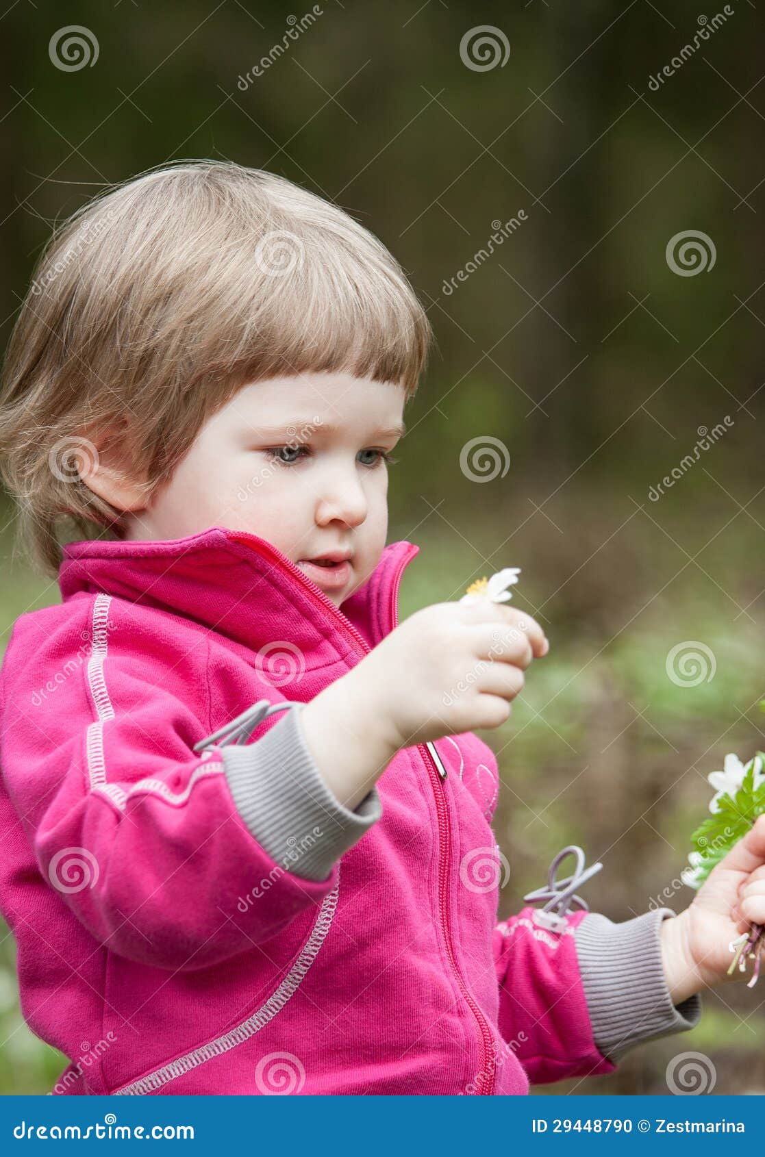 Little Girl Picking Snowdrops Stock Photo - Image of girl, spring: 29448790