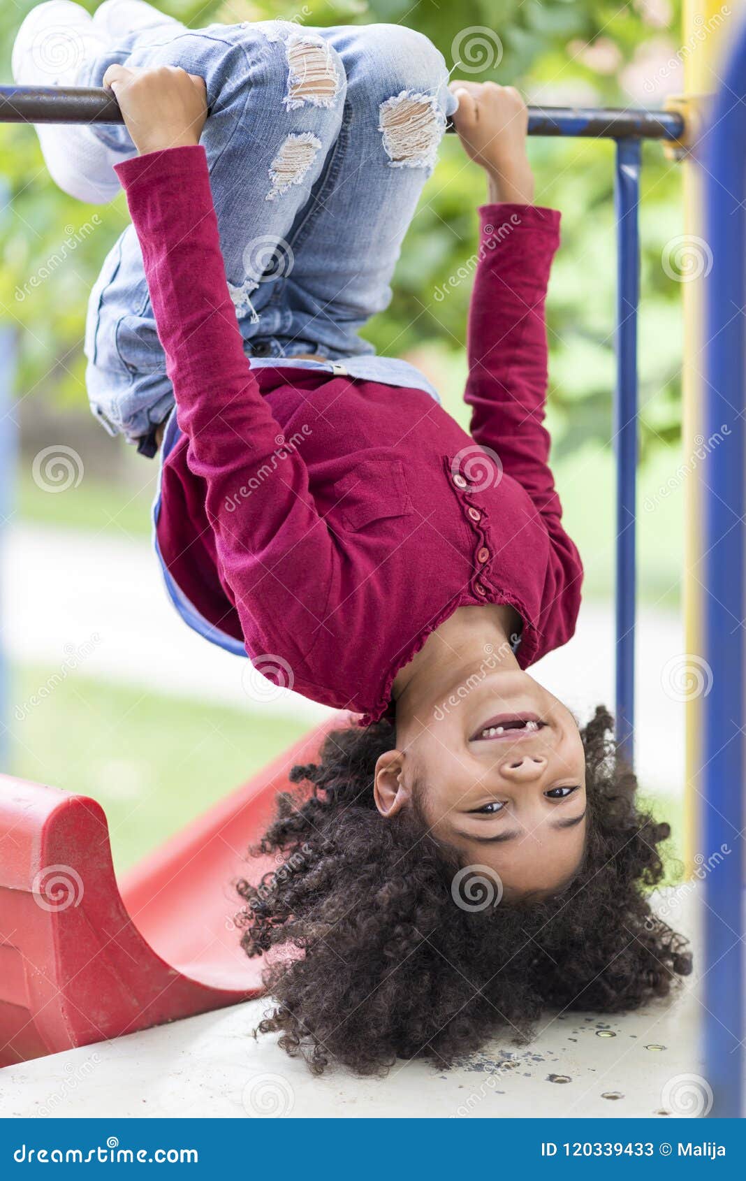 Bat Hanging Upside Down In Maldives Royalty-Free Stock Image ...